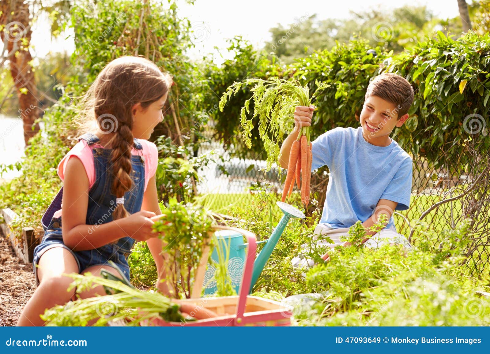 Two Children Working on Allotment Together Stock Image - Image of ...