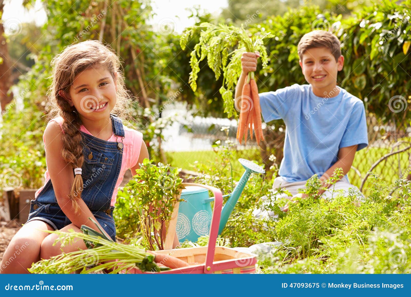 Two Children Working on Allotment Together Stock Image - Image of ...