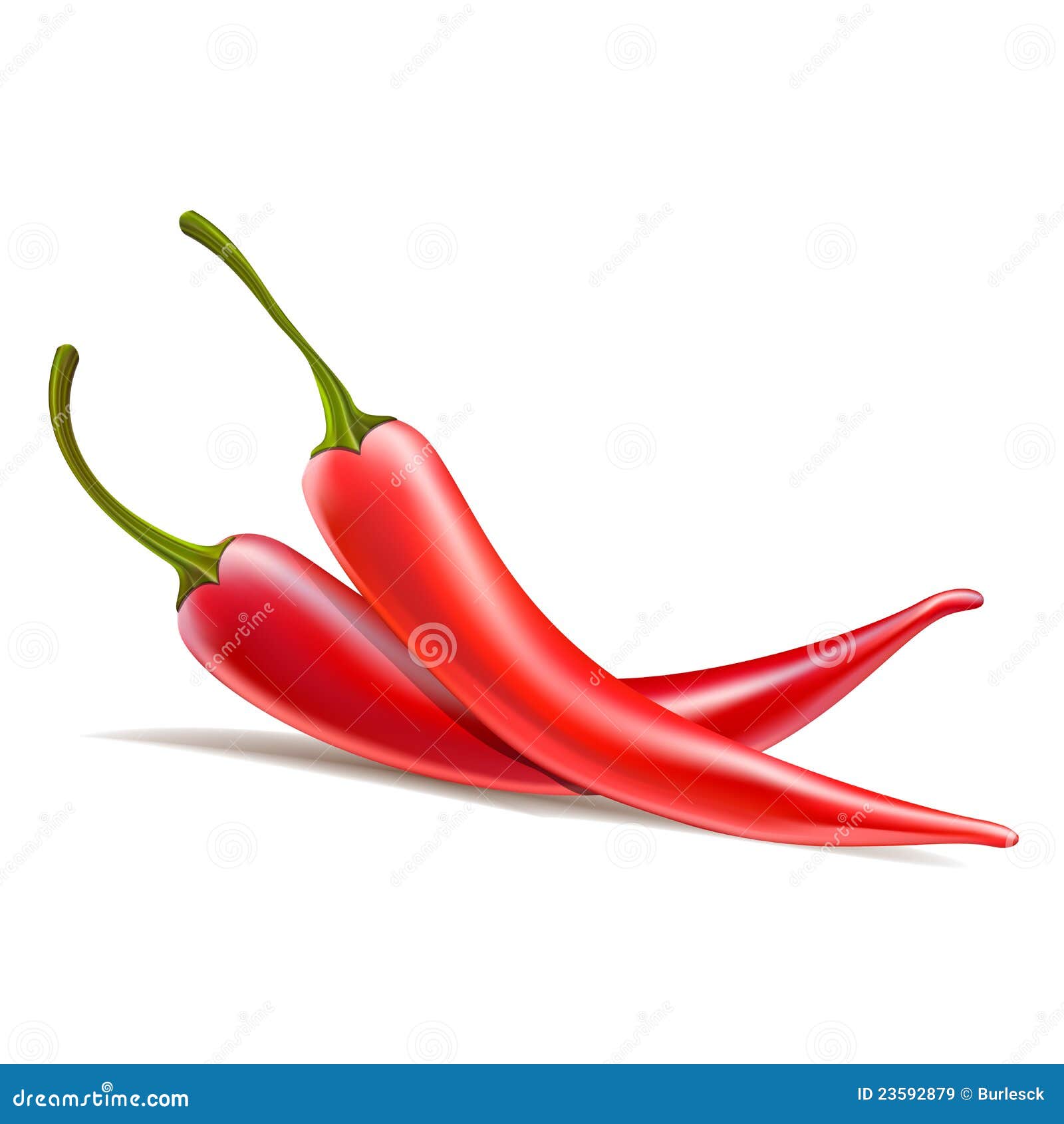 Two chili peppers stock vector. Illustration of pepperoni - 23592879