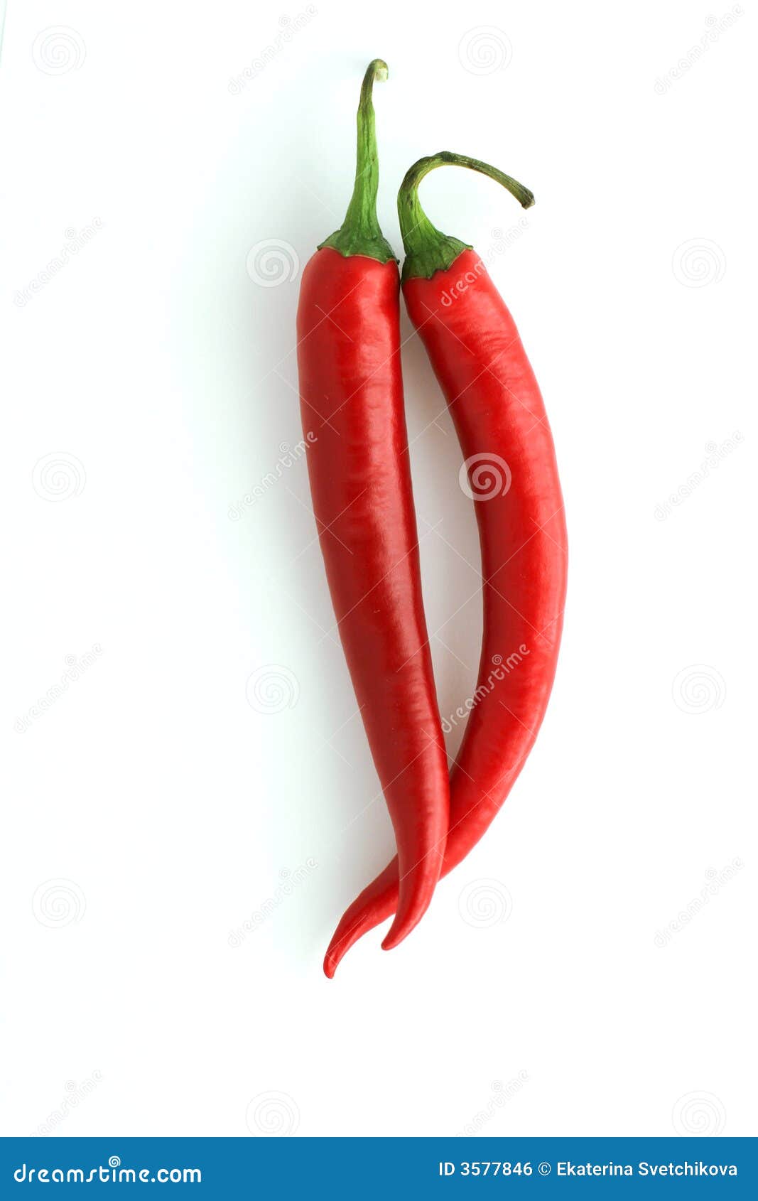 Two chili peppes stock photo. Image of mexican, burning - 3577846