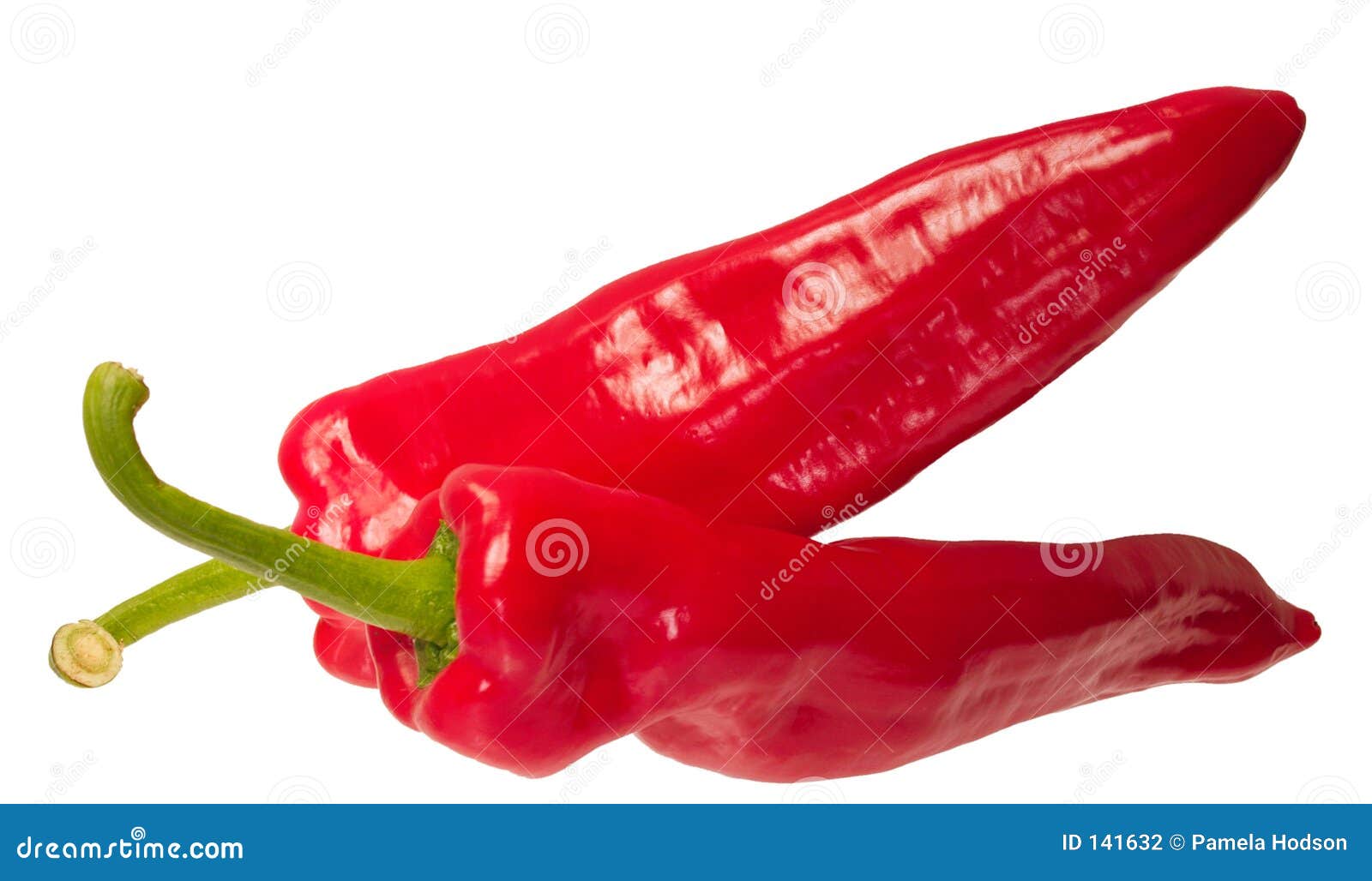 Two chilli peppers stock photo. Image of vegetable, chilli - 141632
