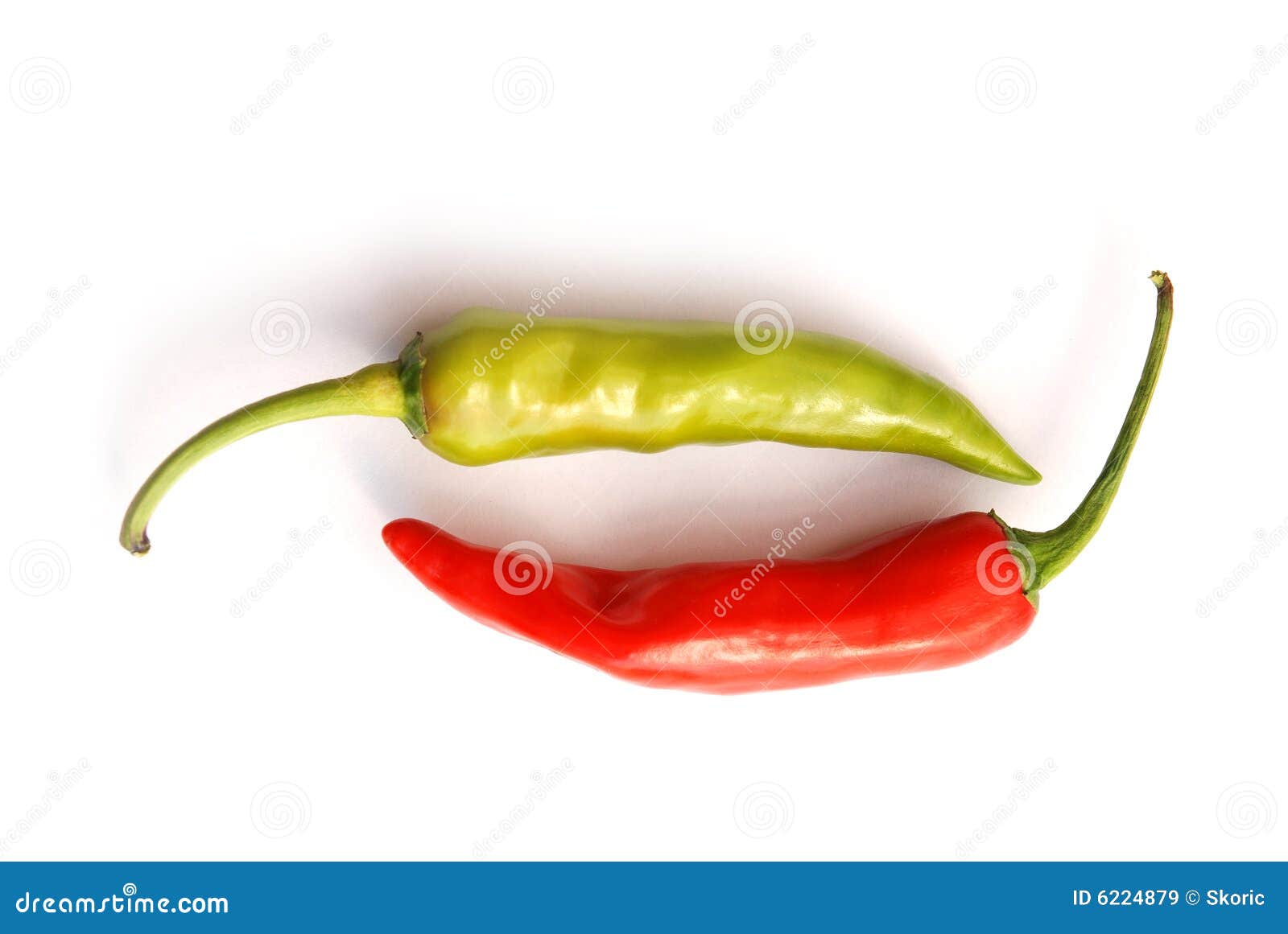 Two chilli peppers stock image. Image of white, spice - 6224879