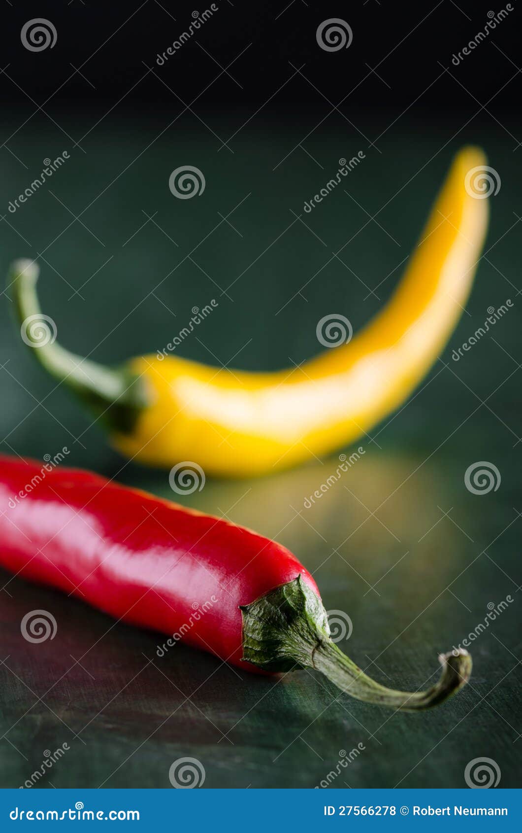 Two chillis stock photo. Image of recipe, igneously, kitchen - 27566278