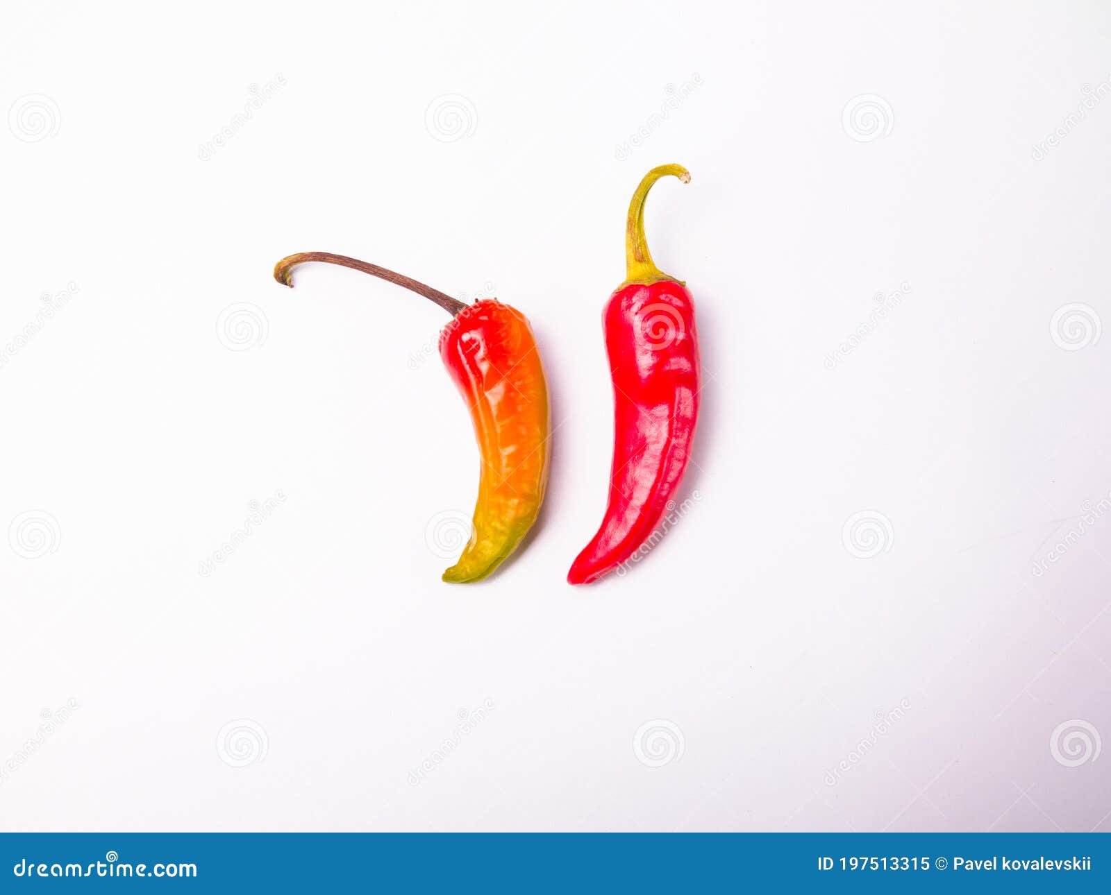 Two Chilly Peppers Isolated Stock Image - Image of fresh, plant: 197513315