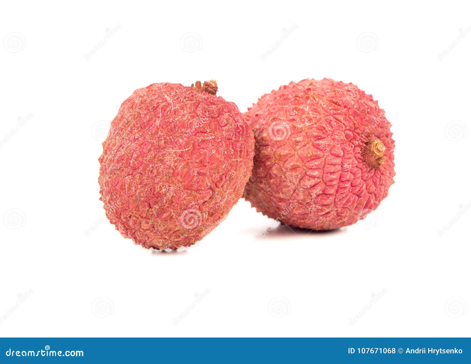 Fruit chinese lychee stock photo. Image of ingredient - 107671068