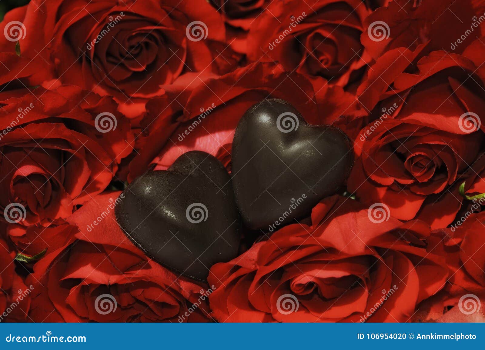 Two Chocolate Hearts and Ruby Red Roses Stock Photo - Image of lovers ...