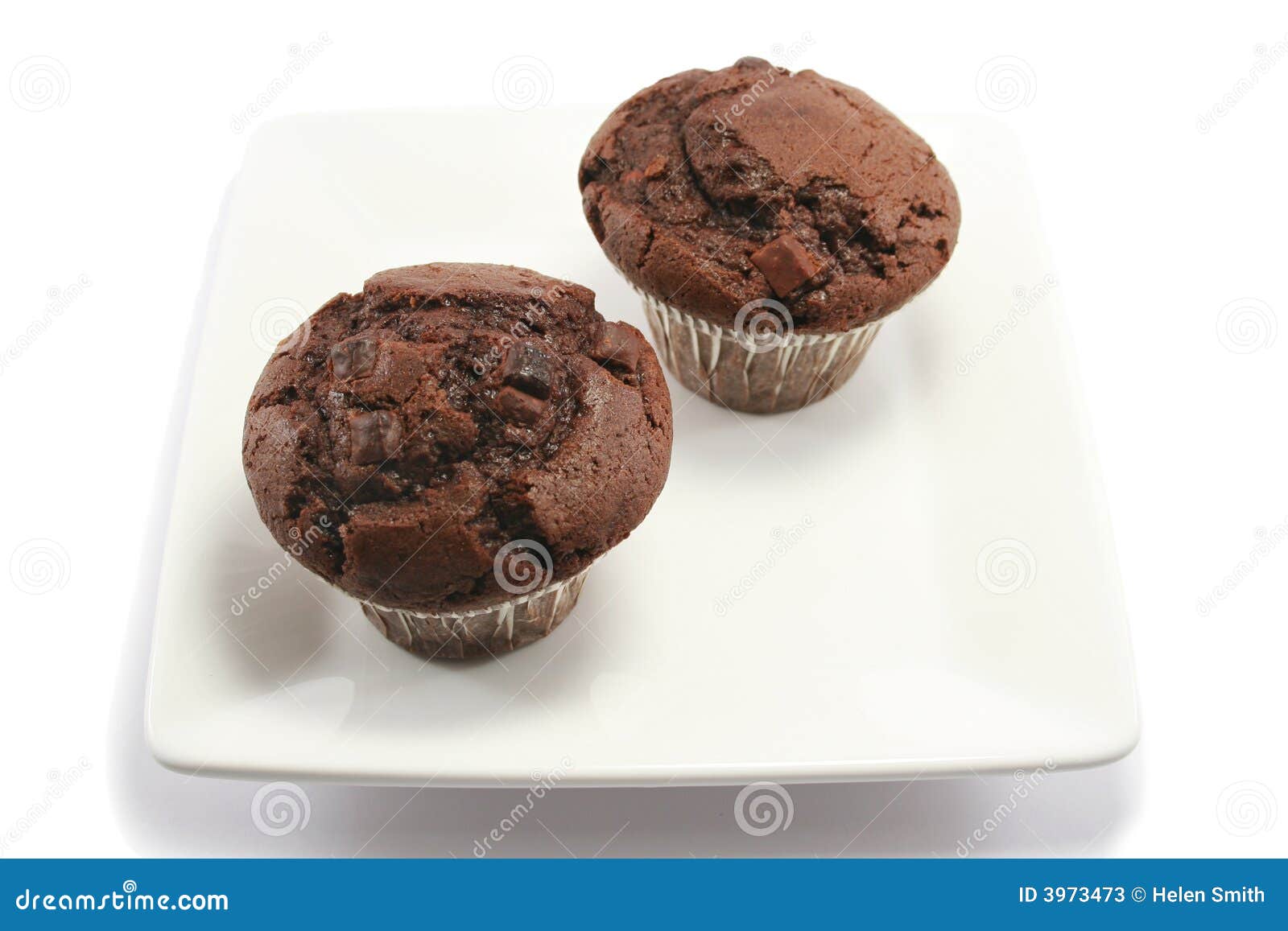 Two Chocolate Muffins on a Plate Stock Image - Image of plate, white ...