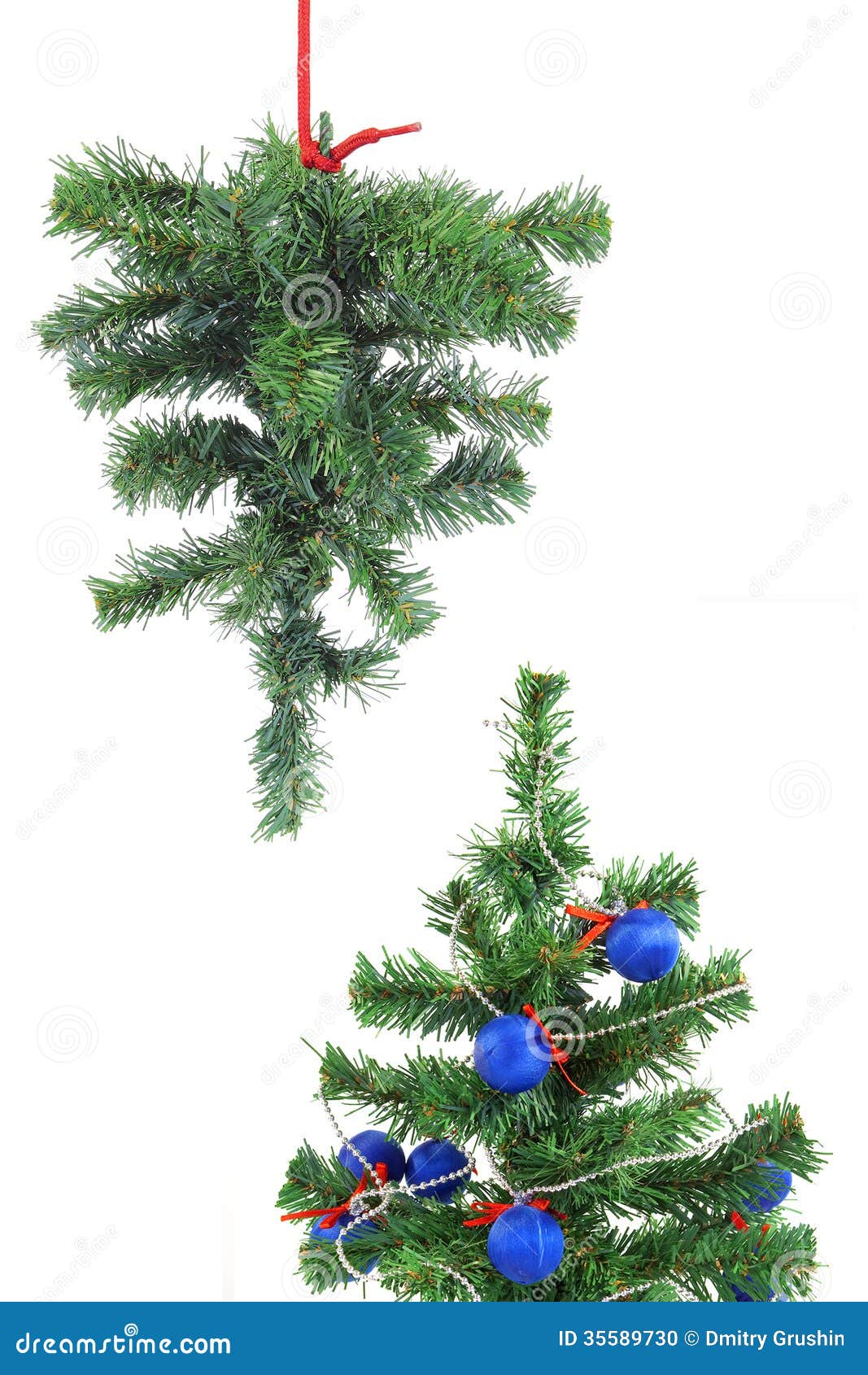 Two Christmas trees stock photo. Image of small, shiny - 35589730