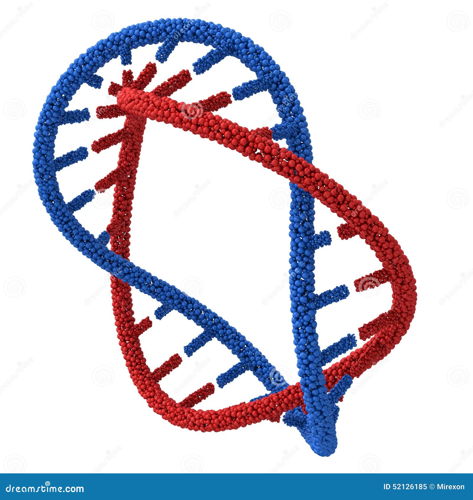 Two Chromosome DNA Molecules Twisted into a Spiral Stock Illustration ...