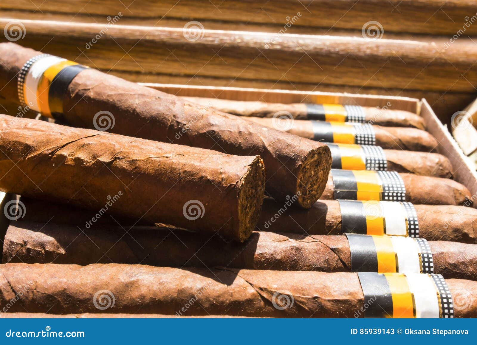 Two Cigars in a Humidor Full of Cigars Stock Image - Image of hobby ...