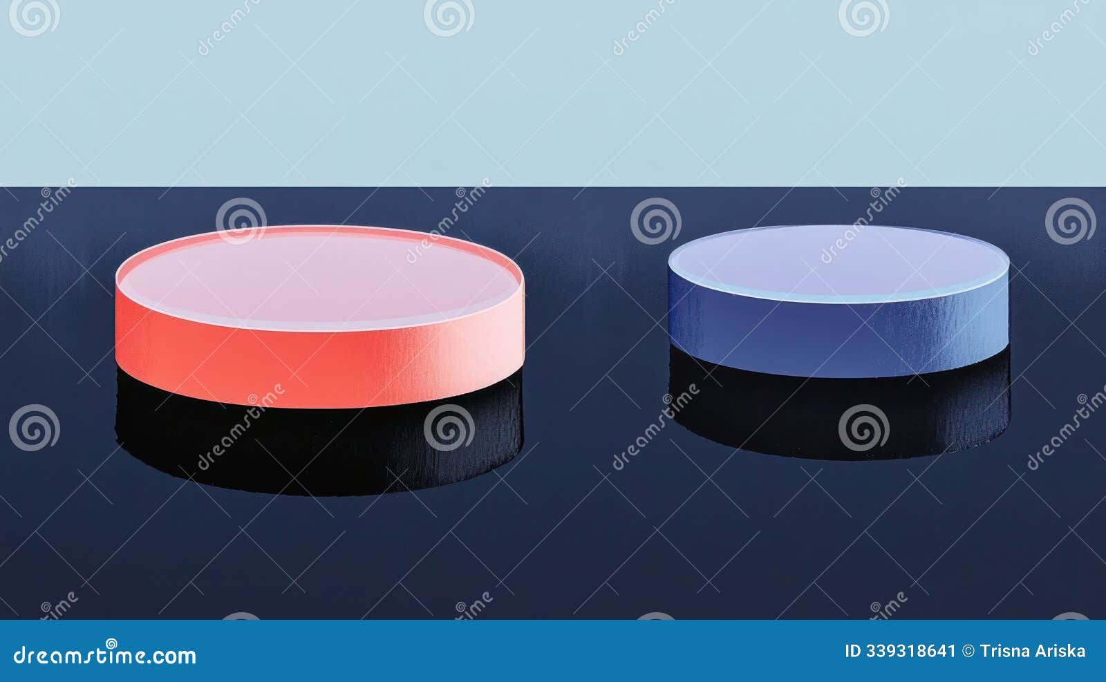 Two Circular Objects in Contrasting Colors on a Reflective Surface ...