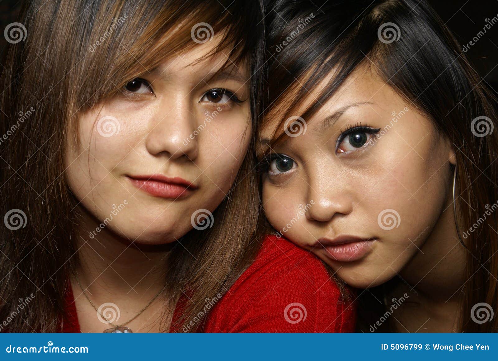 Two close female friends stock image. Image of female - 5096799