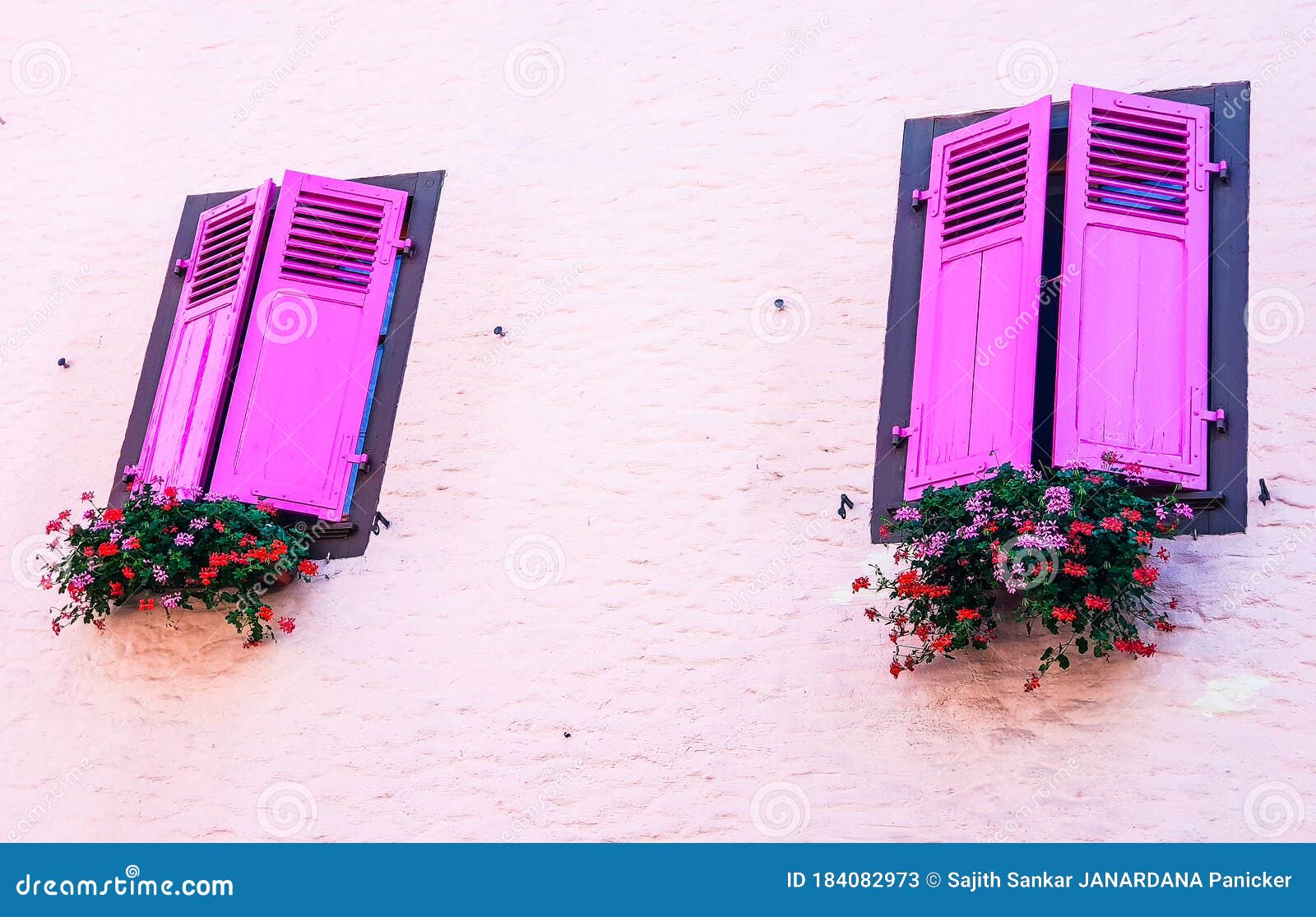 Two Closed Pink Windows with Flowers on a Rose Wall Stock Image - Image ...