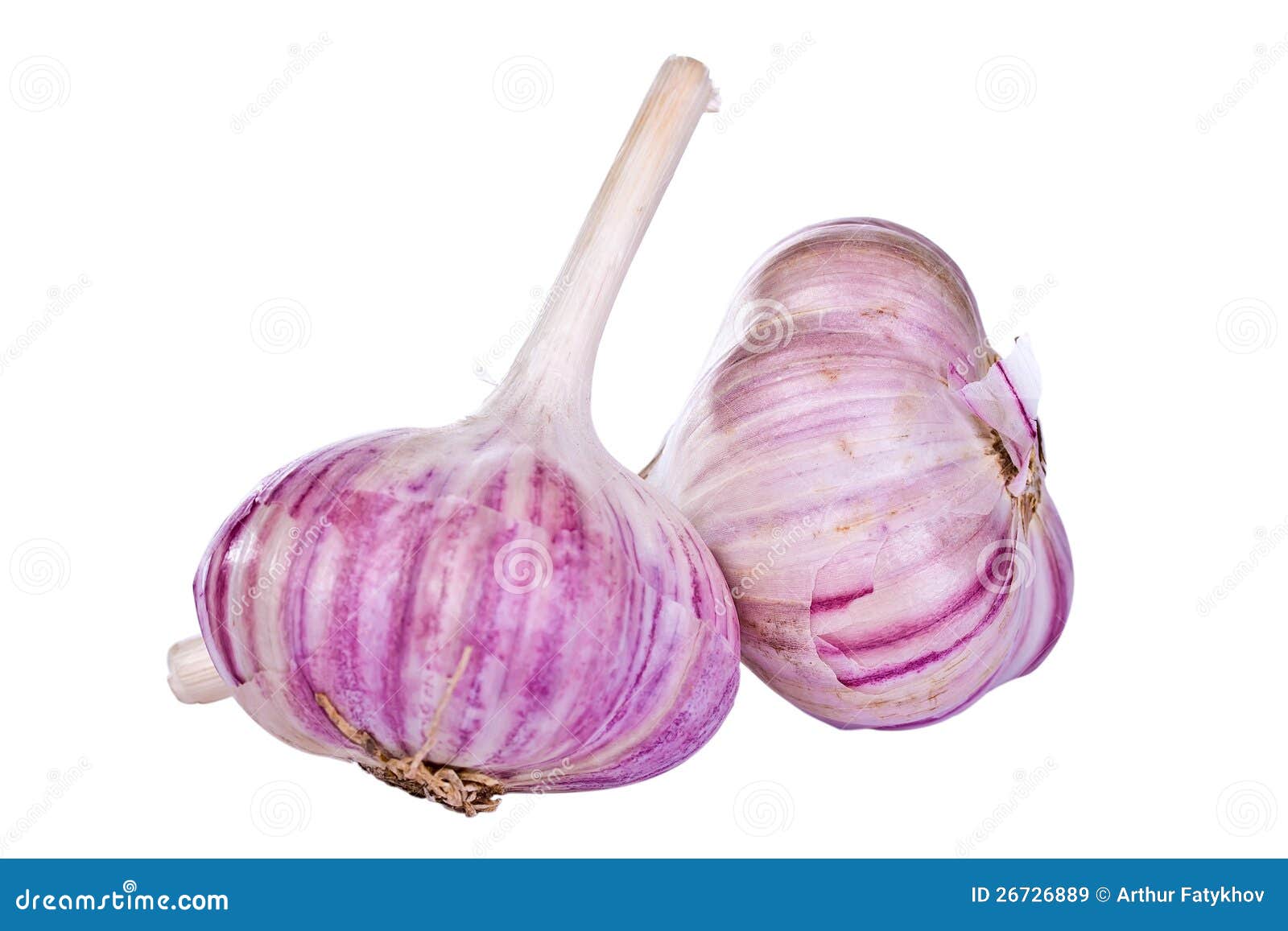 Two cloves of garlic stock image. Image of food, herb - 26726889