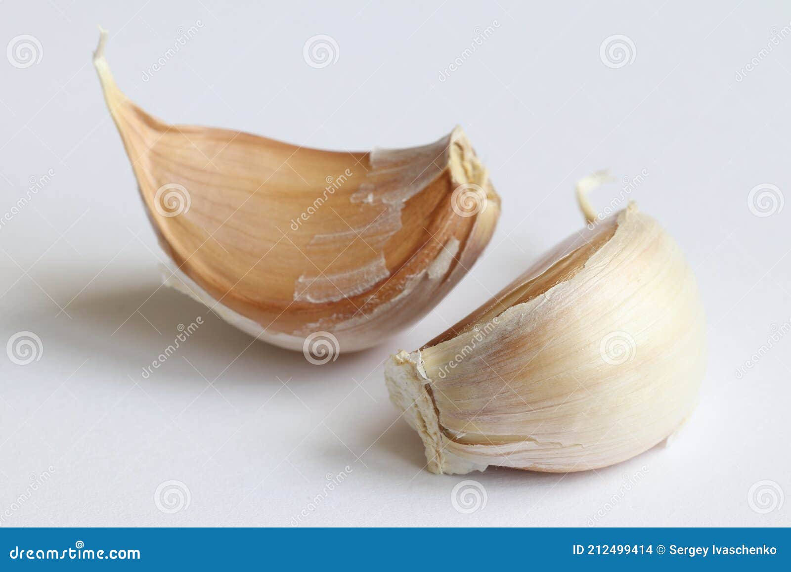Two cloves of garlic. stock photo. Image of herb, fresh - 212499414