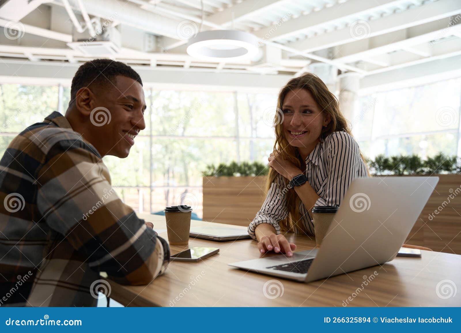 Two Co-workers Using Laptop while Working Together Stock Photo - Image ...