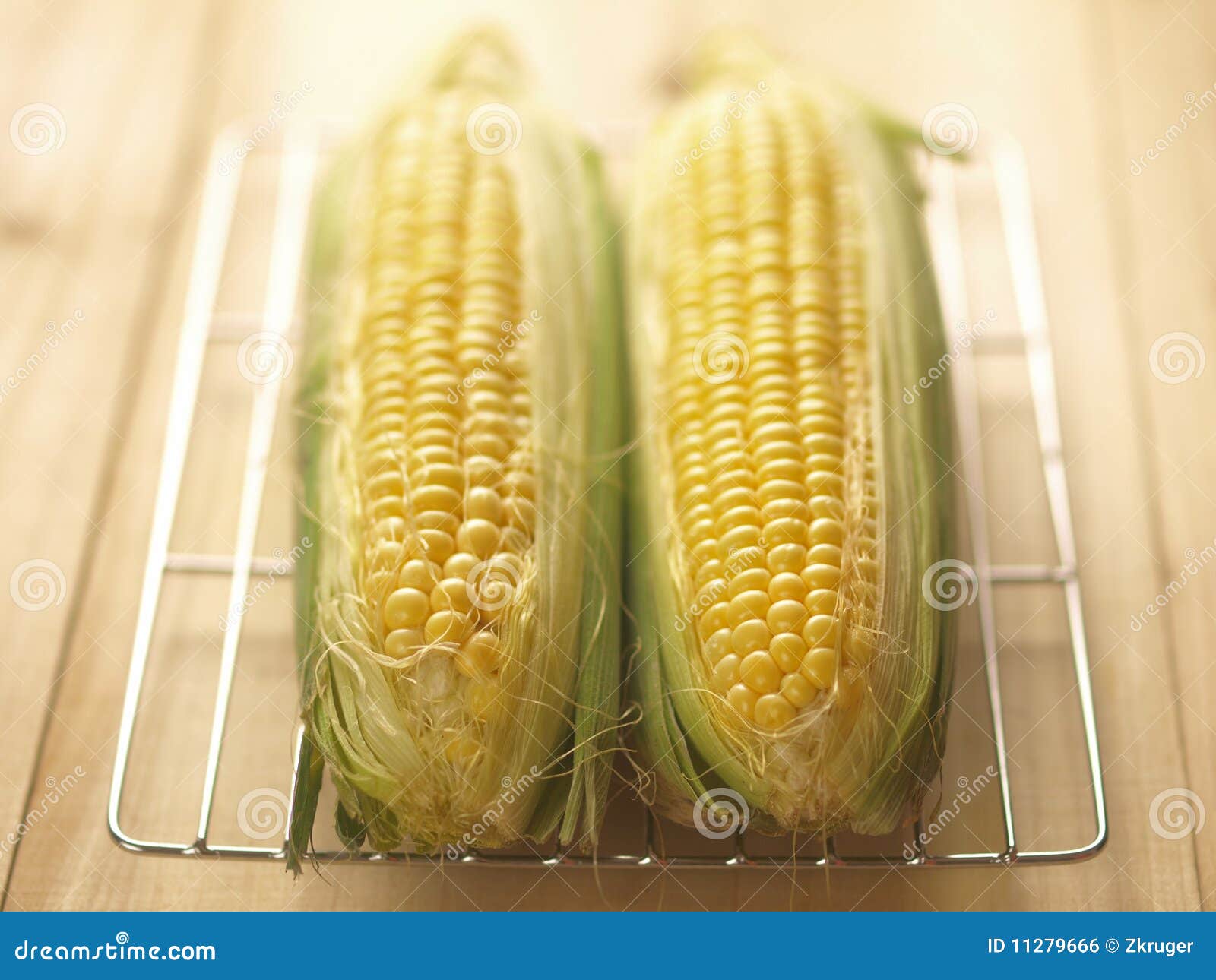 Two cobs of corn stock photo. Image of healthy, nutritious - 11279666