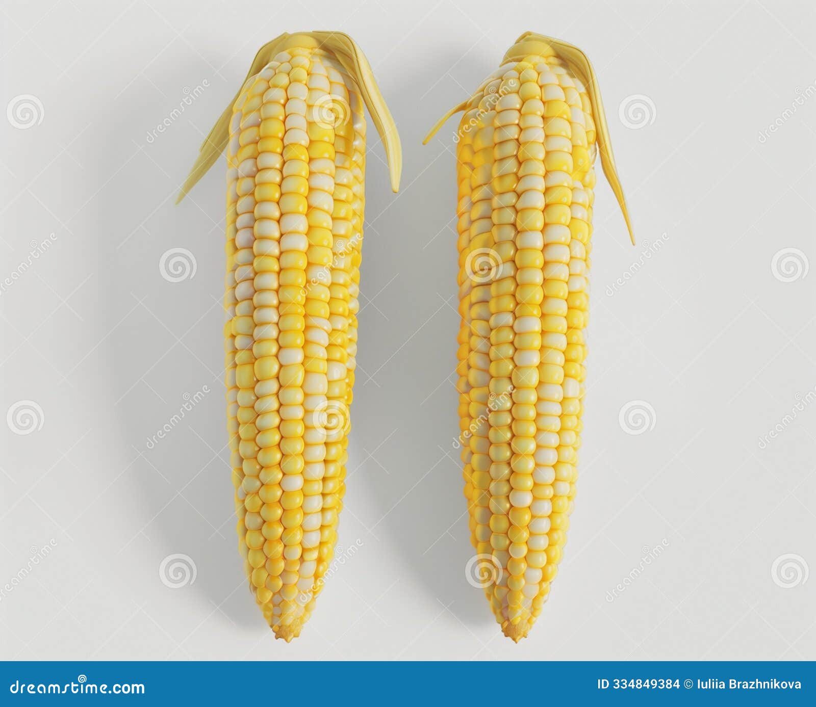 Two Cobs of 3D Realistic Corn on a White Background, Isolated Stock ...