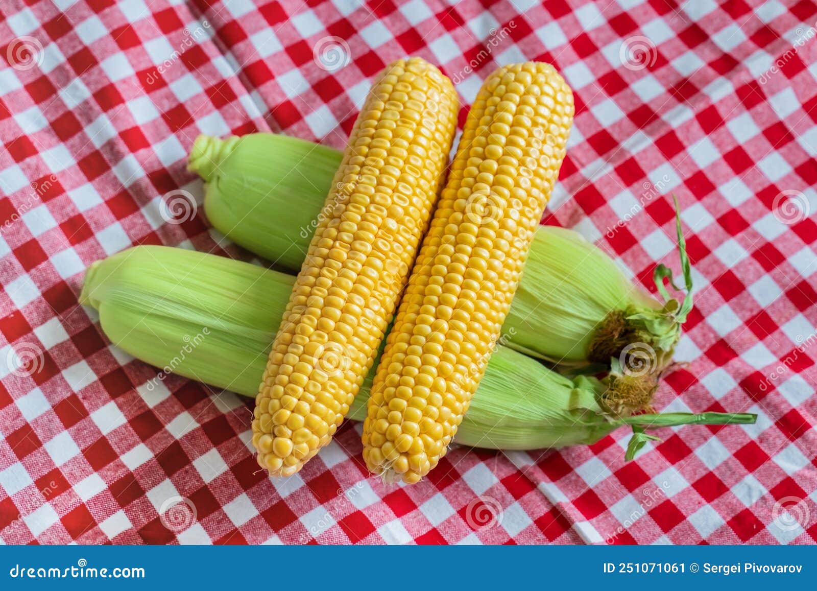 Two Cobs of Fresh Yellow Young Corn with Leaves on a Red Clot ...