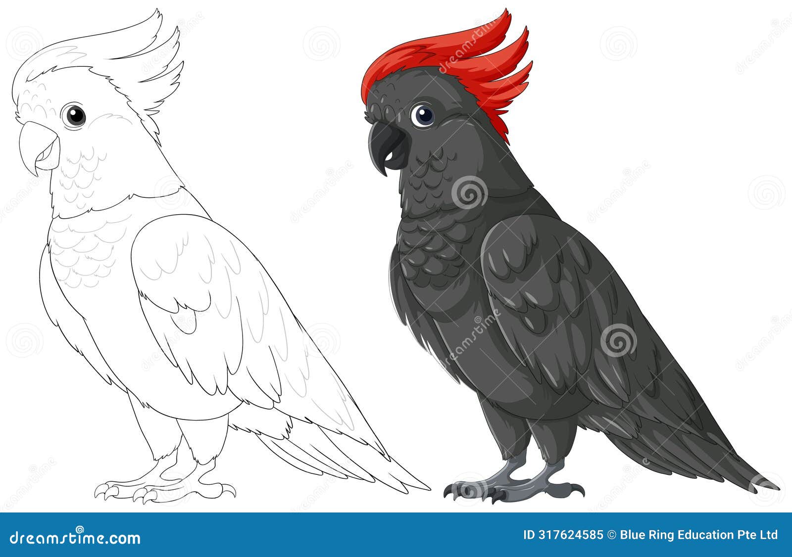Two Cockatoos, One Colorful Stock Vector - Illustration of parrot ...