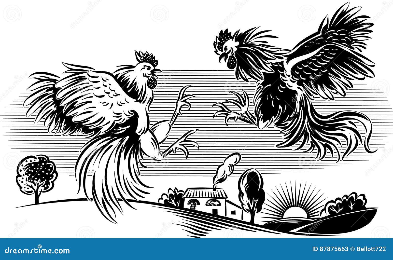 Rooster Fighting Art Black And White