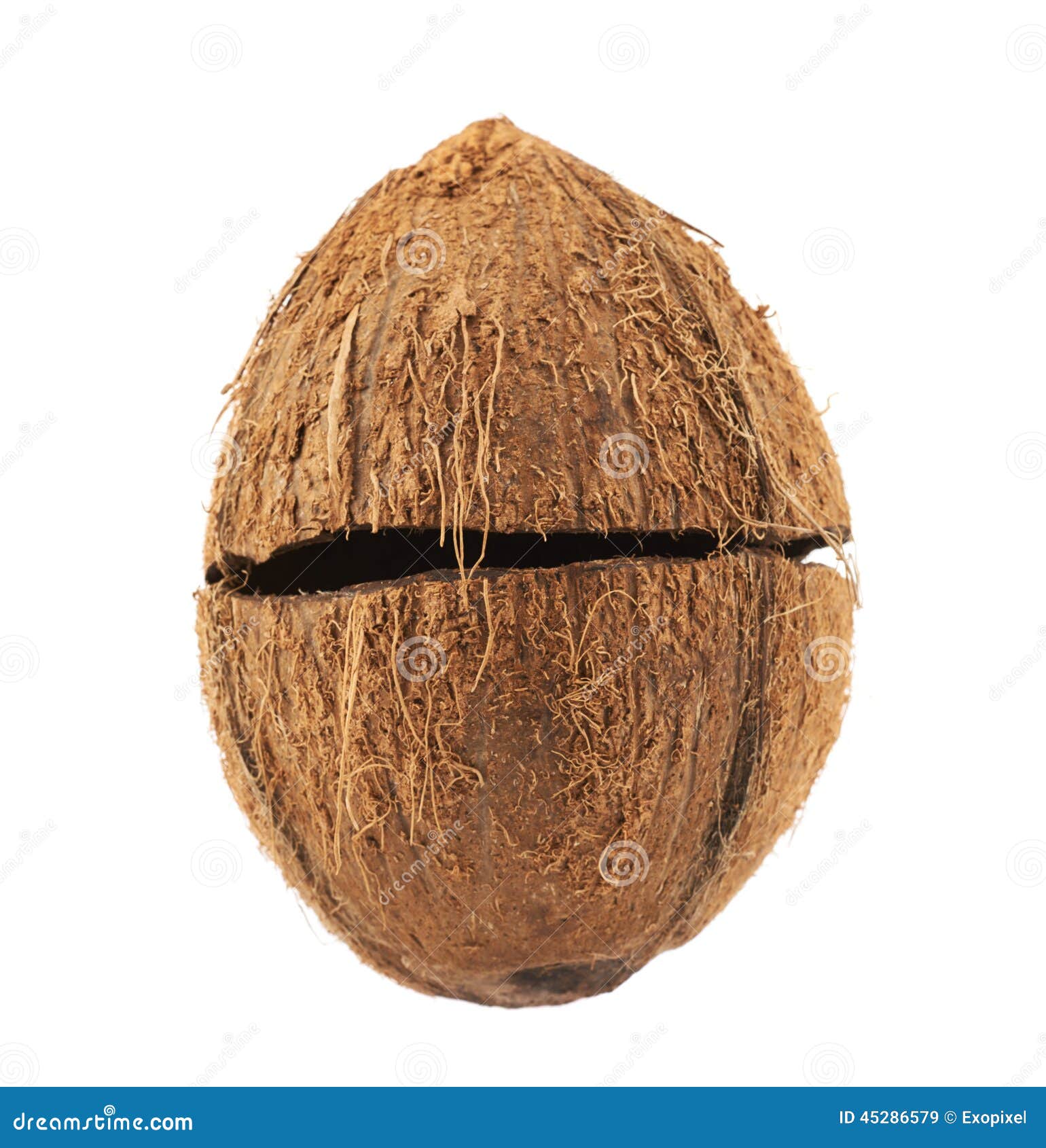 Two Coconut Shell Halves Stock Images - Download 239 Royalty Free Photos