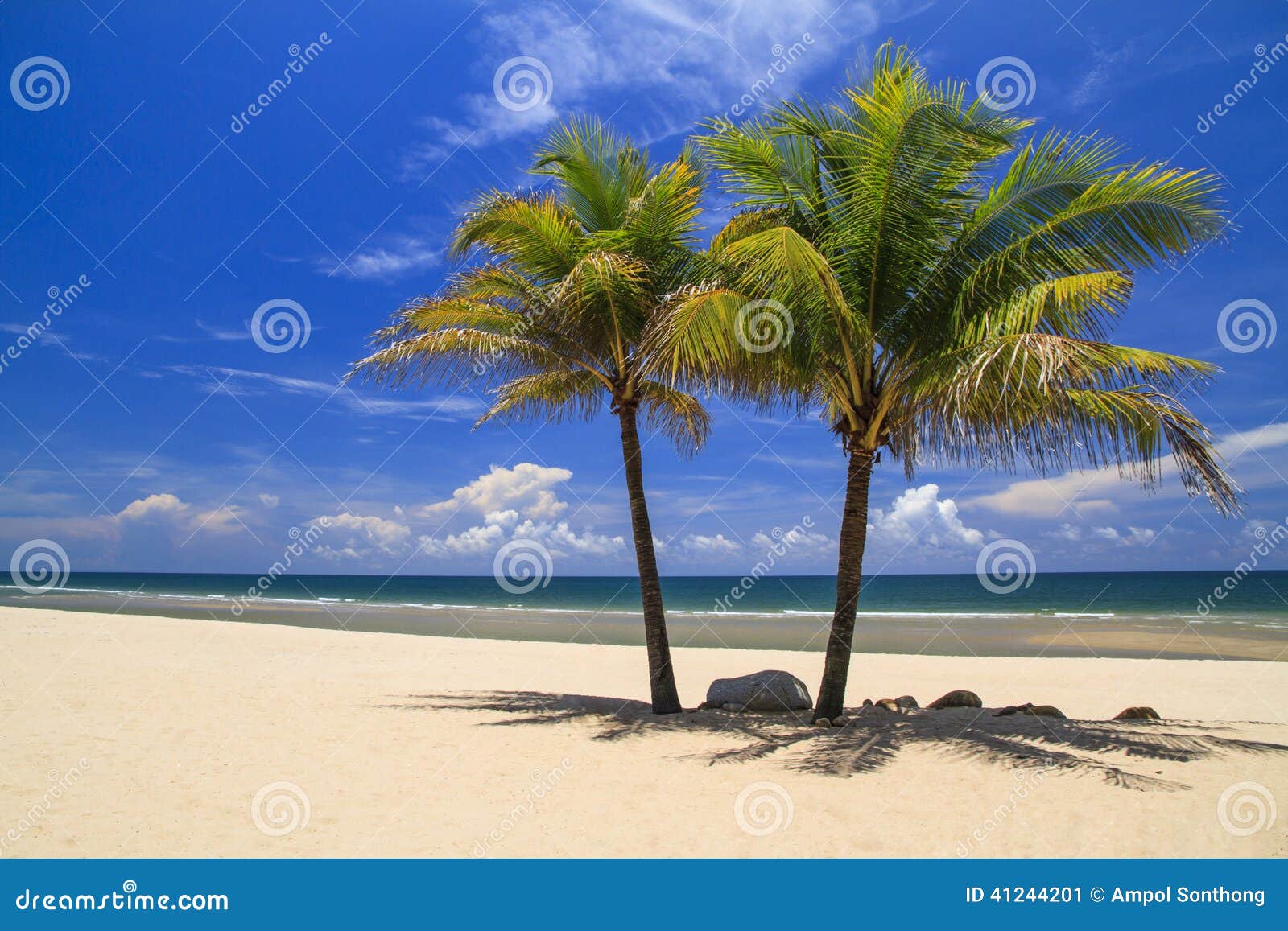 Two Coconut Tree on the Beach Stock Image - Image of nature, calm: 41244201