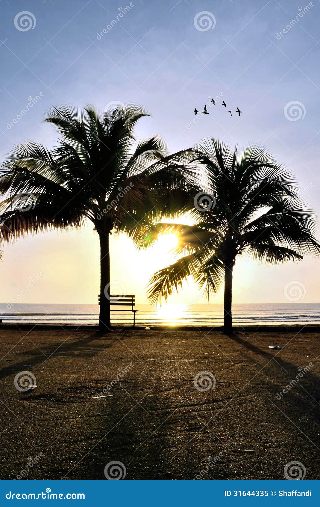 Two coconut tree stock image. Image of sunset, traditional - 31644335
