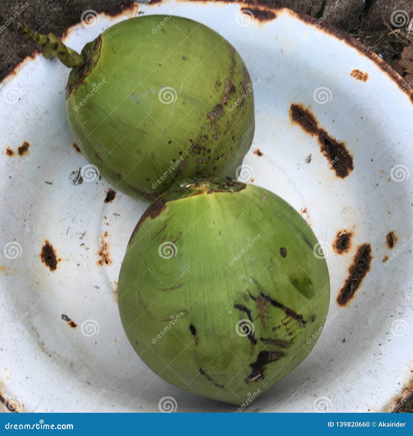 Double coconut. stock photo. Image of green, tropical - 139820660