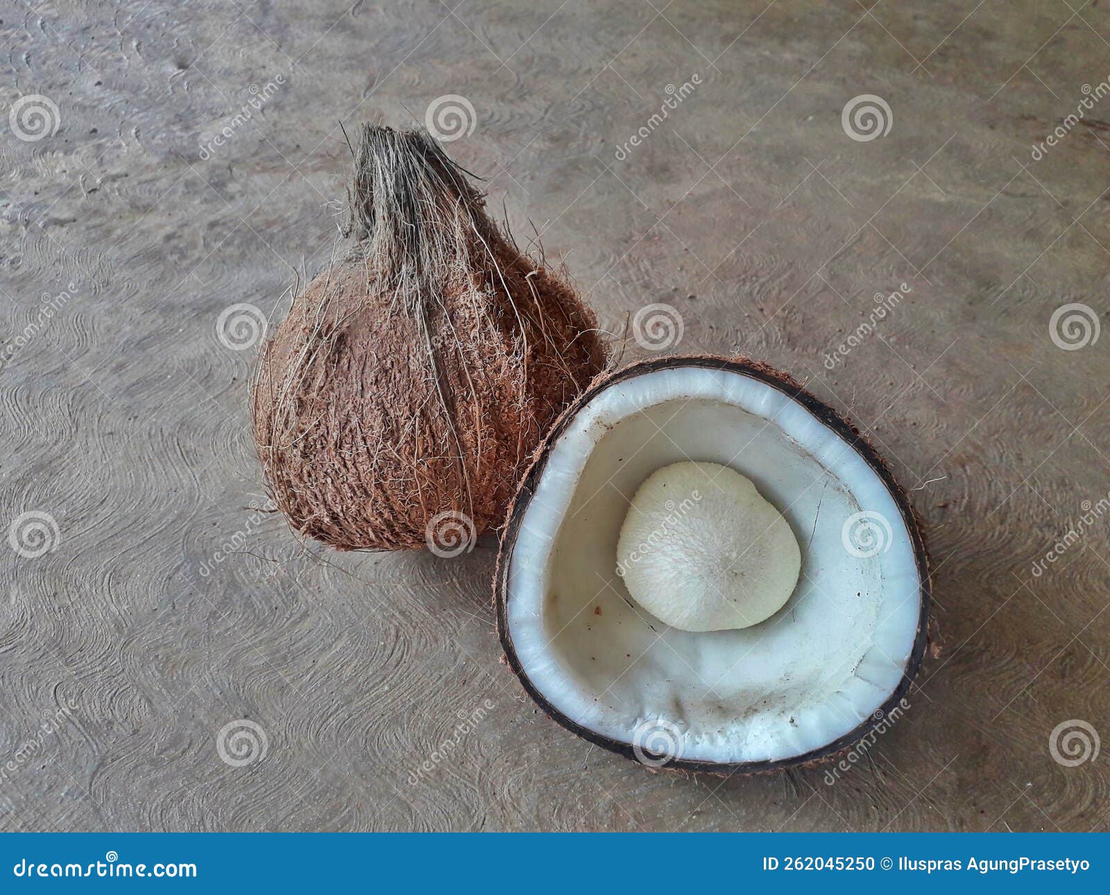 Two Coconuts with Brown Coconut Shell and White on the Flesh Stock ...