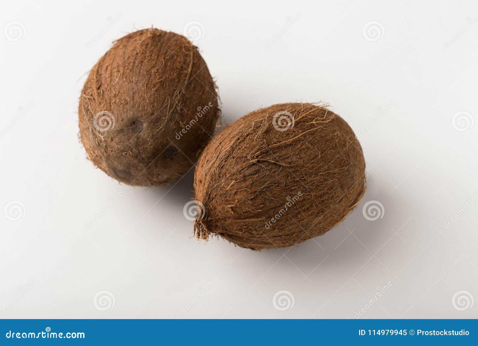 Two Coconuts Isolated on White Background Stock Image - Image of ...