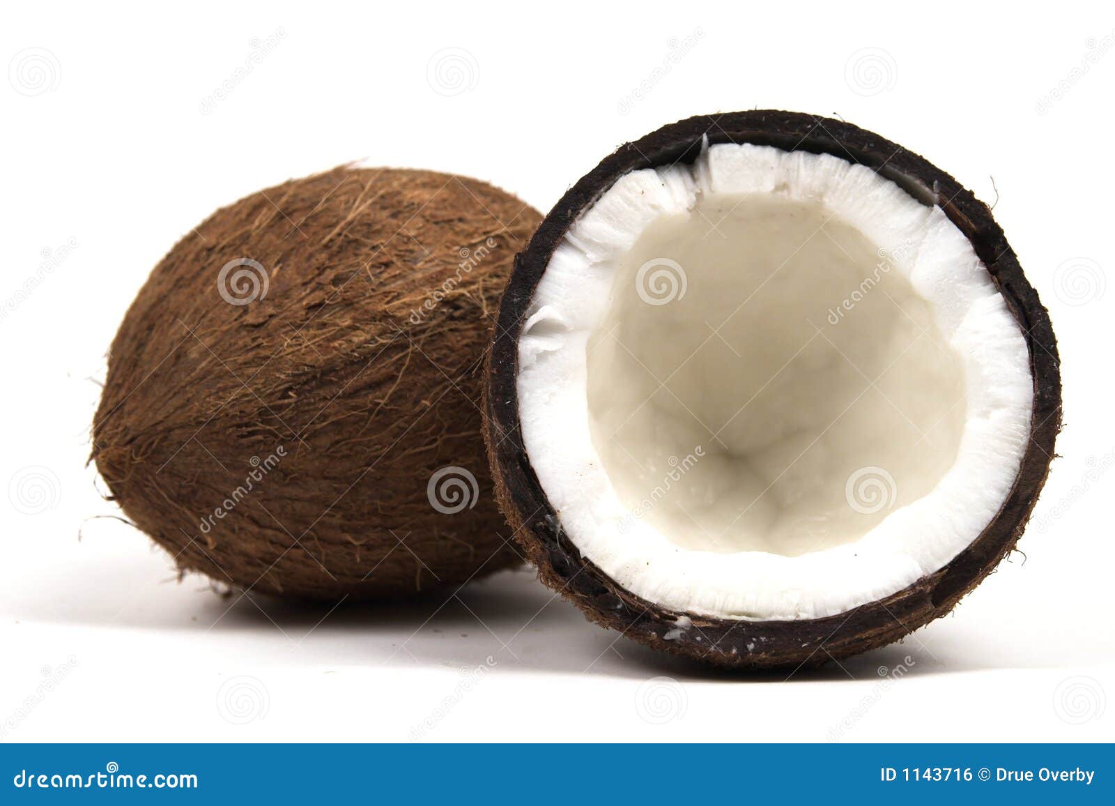 Two Coconuts Wide with Plain Side Stock Photo - Image of coconut, hairy ...