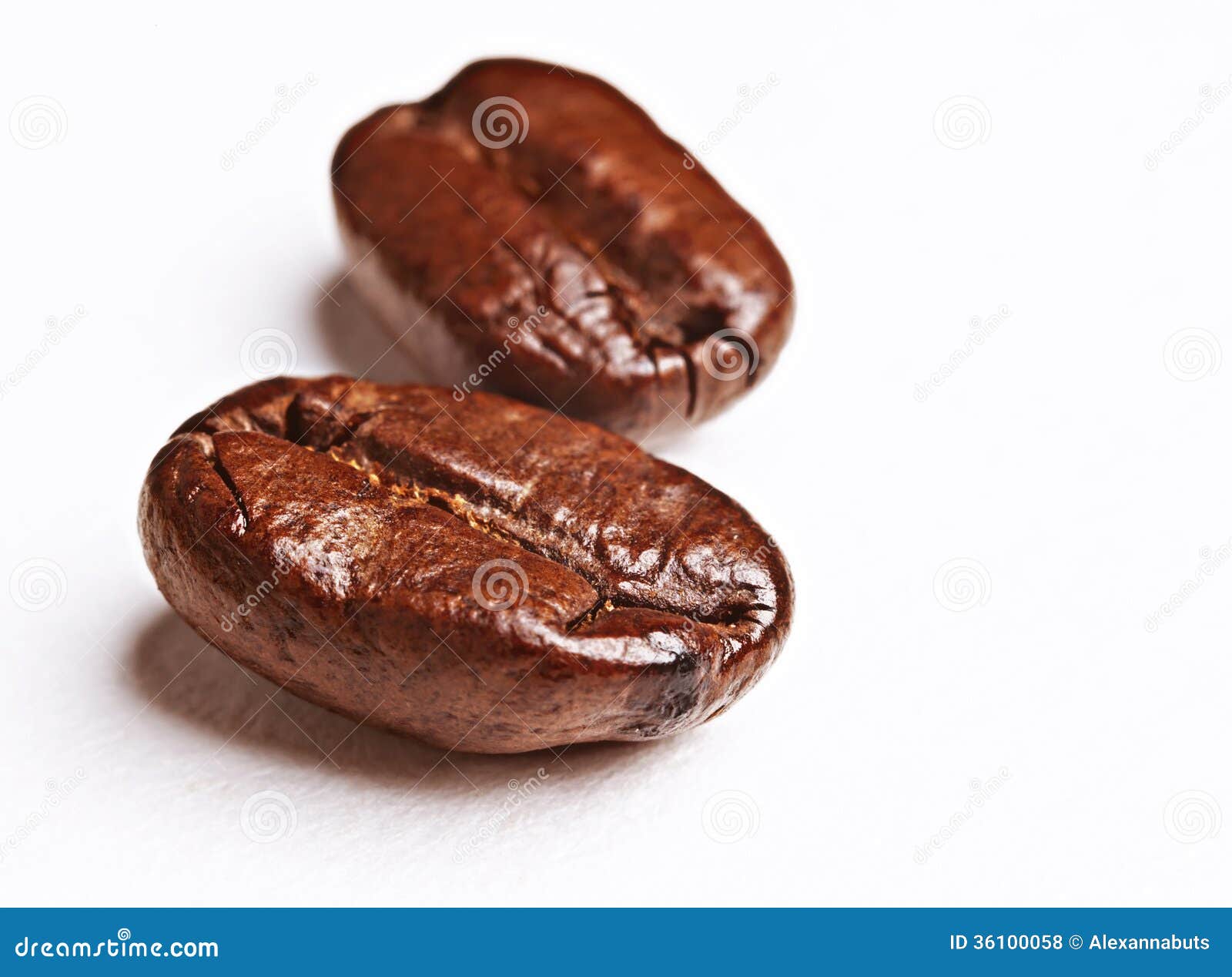 Two coffee bean stock illustration. Illustration of brown - 36100058