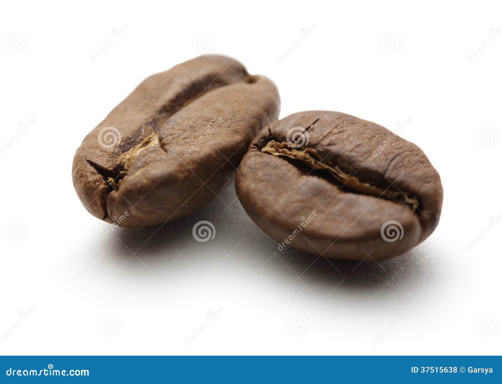 Two coffee beans stock photo. Image of arabic, black - 37515638