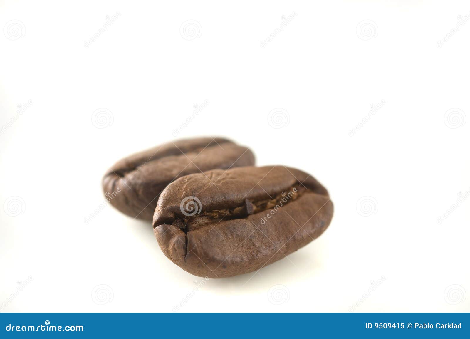 Two Coffee Beans in White Background. Stock Image - Image of grains ...