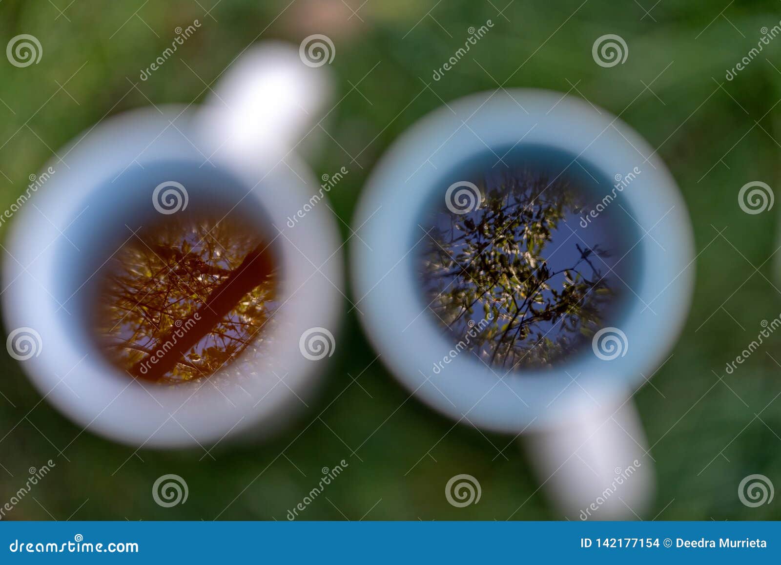Two Coffee Mugs with Reflection Stock Photo - Image of morning, summer ...