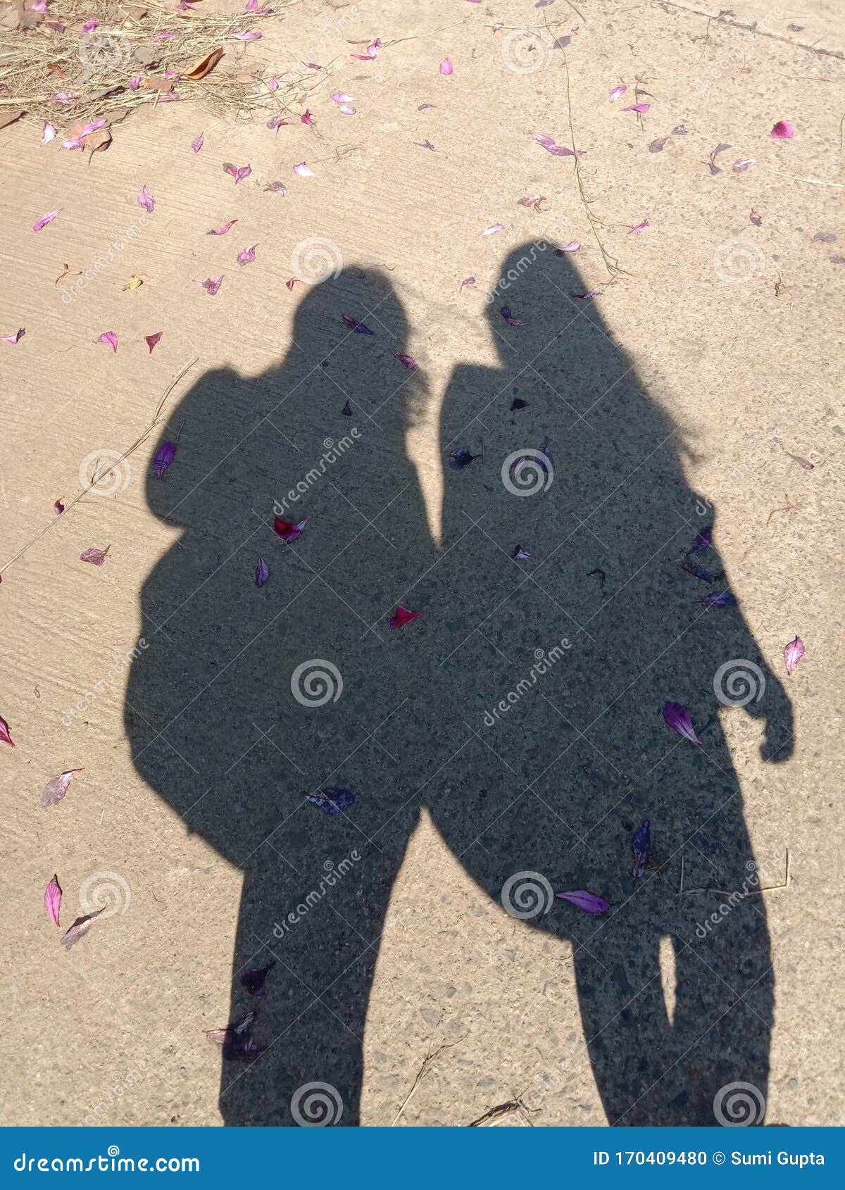 Two College Girl Students Shadow Image at Noon Time on the Road. Stock ...