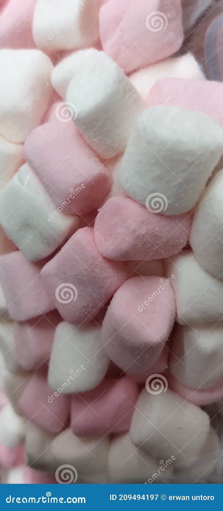 Two color cotton candy stock image. Image of sugar, cotton - 209494197