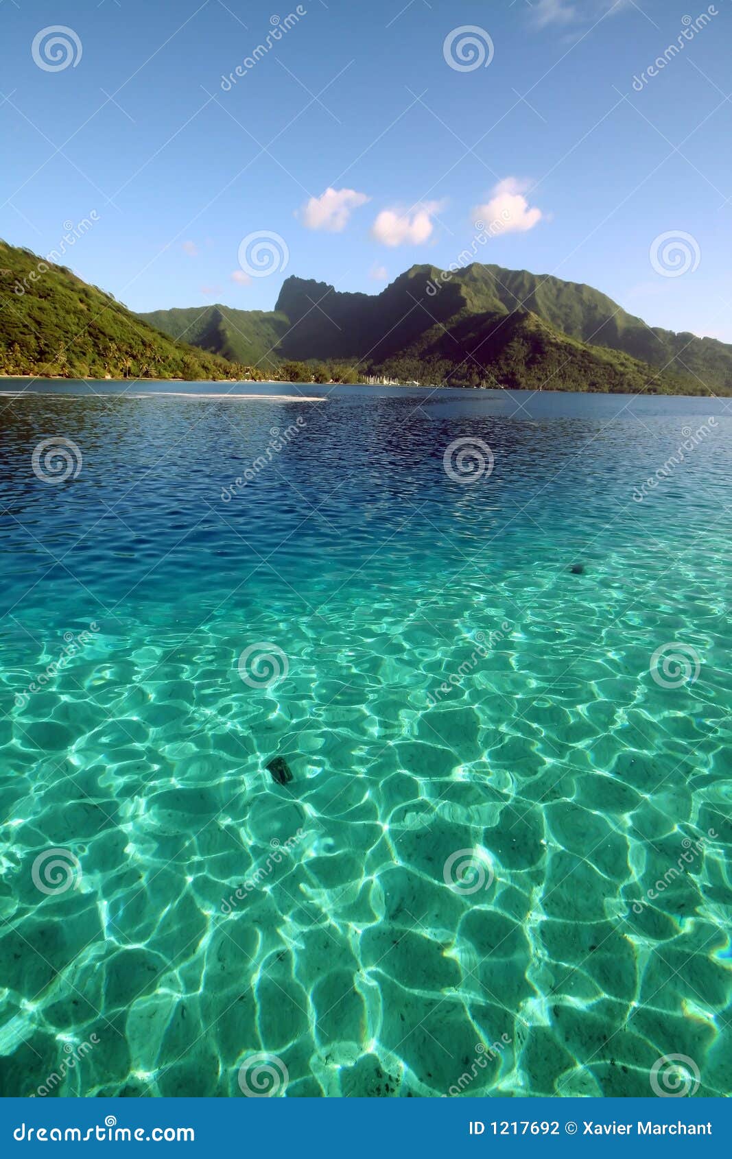 Two Color Crystal Clear Lagoon Stock Photo - Image of wave, exotic: 1217692
