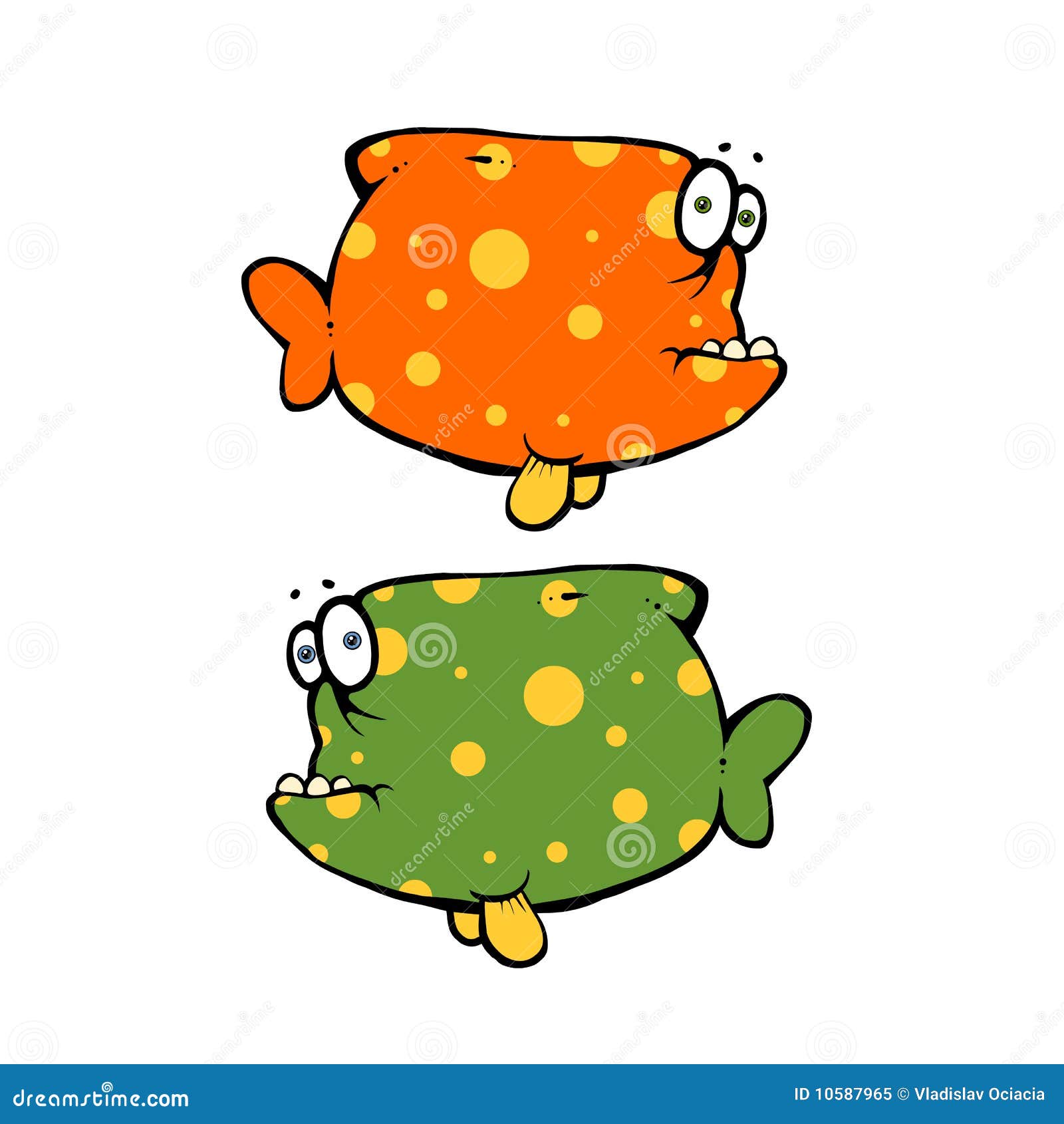 Two colored fish stock illustration. Illustration of danger - 10587965