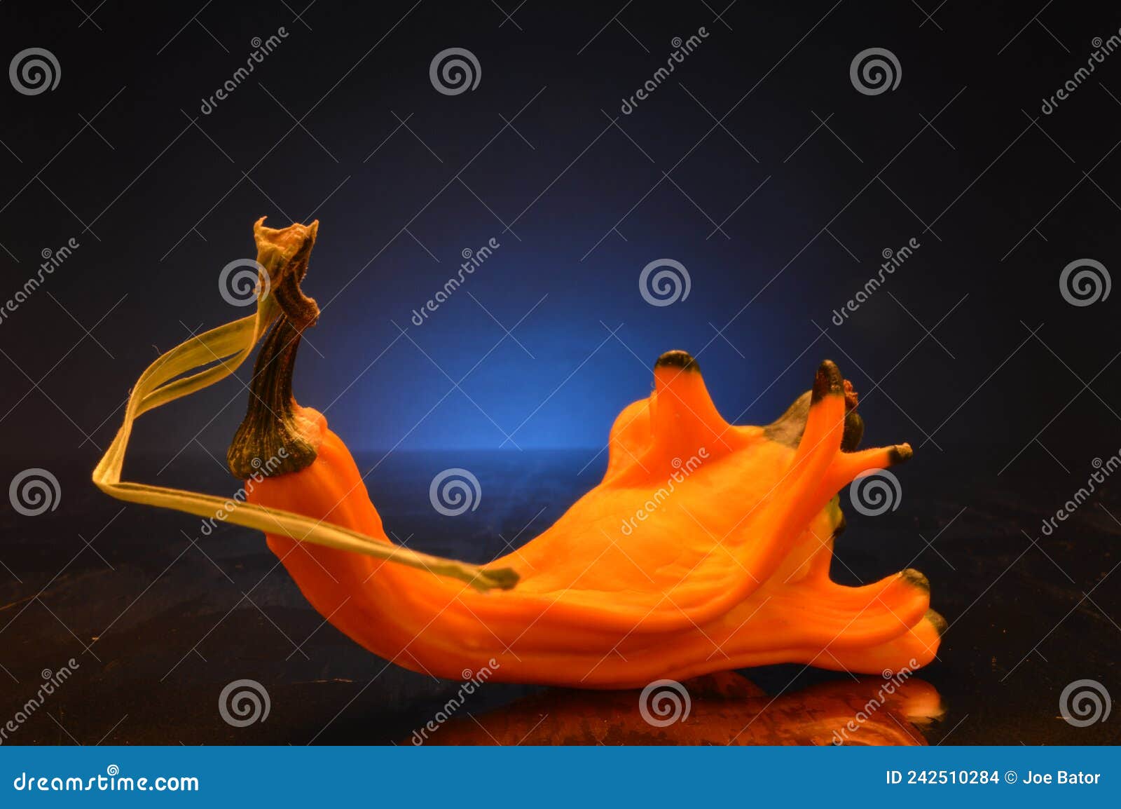 Orange and Green Colored Squash Stock Photo - Image of squash ...