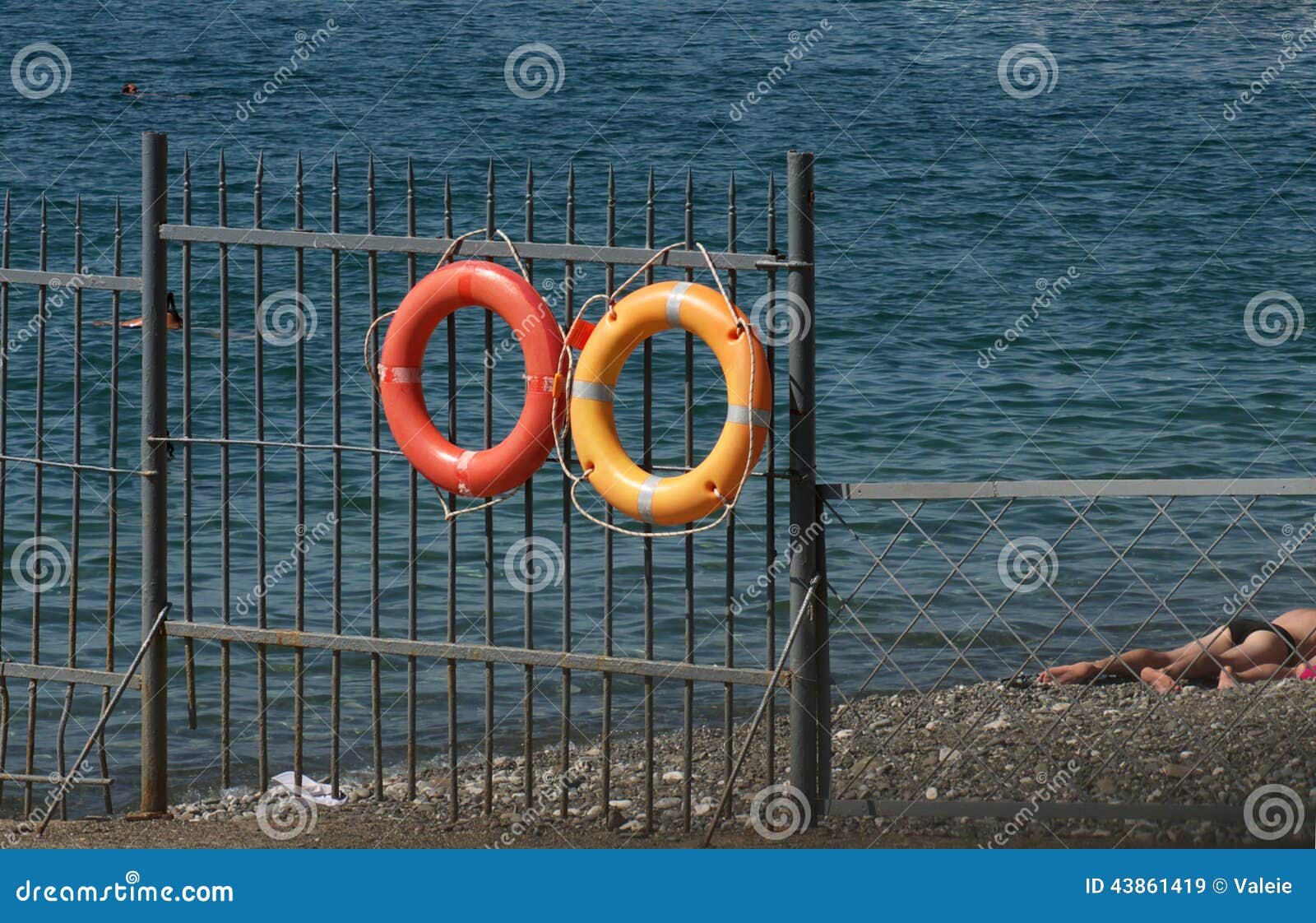 Two Colored of Rescue Circle Stock Image - Image of hedge, water: 43861419