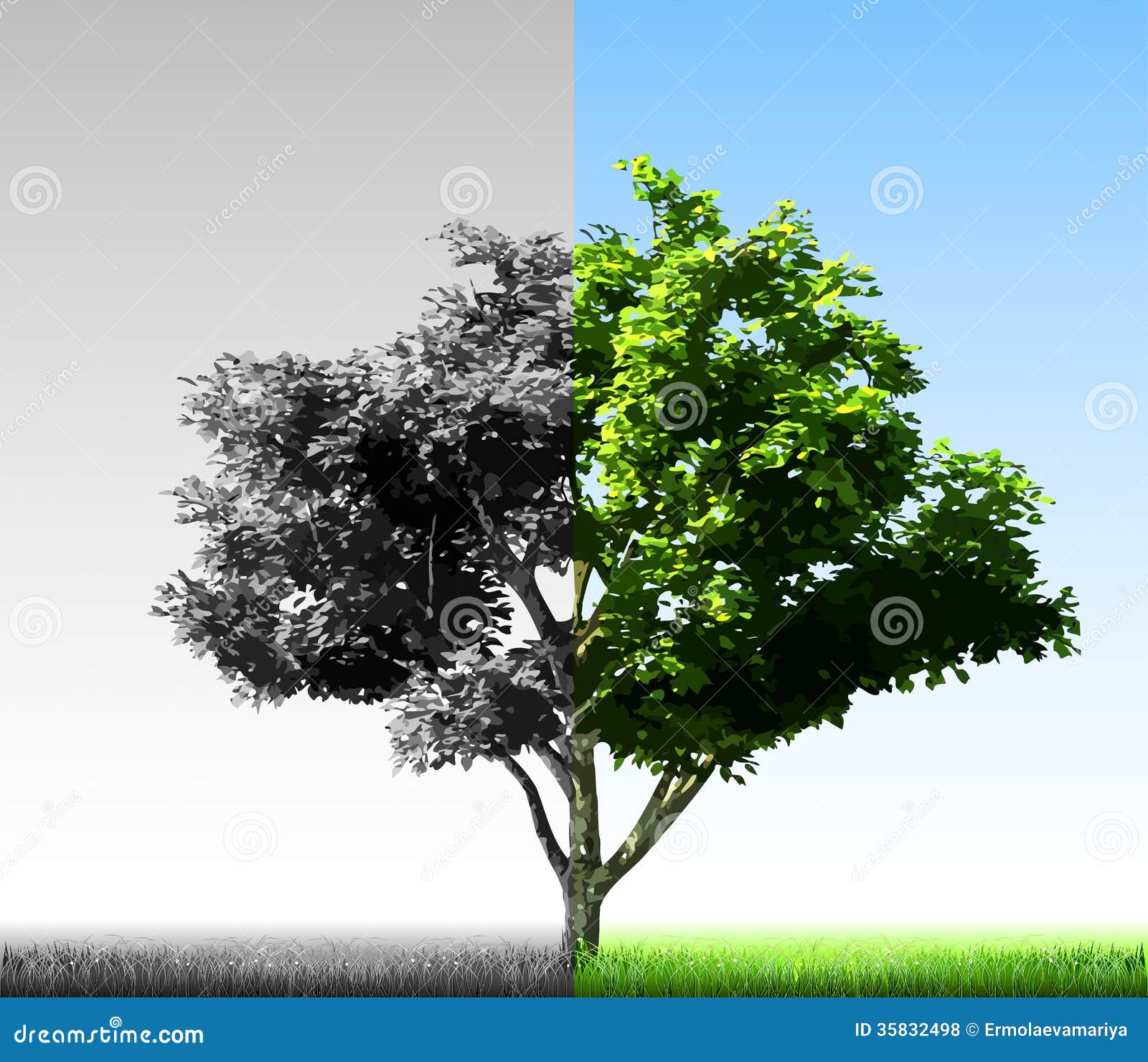 Two Colorful Halves of the Tree. Vector Stock Vector - Illustration of ...