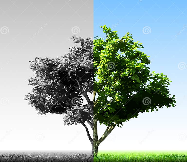 Two Colorful Halves of the Tree. Vector Stock Vector - Illustration of ...