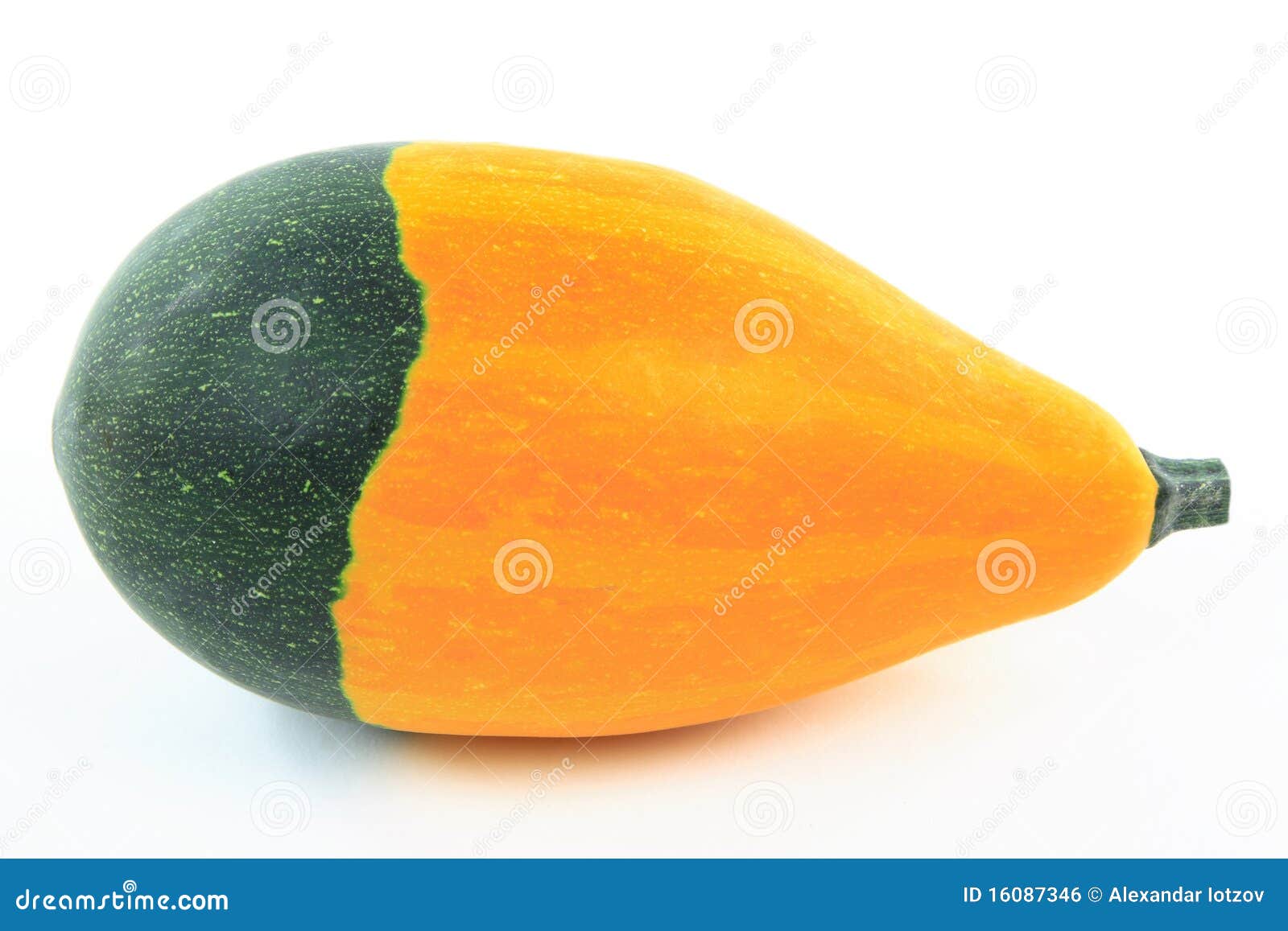 Two Coloured Smooth Skin Squash. Stock Photo - Image of oval, green ...