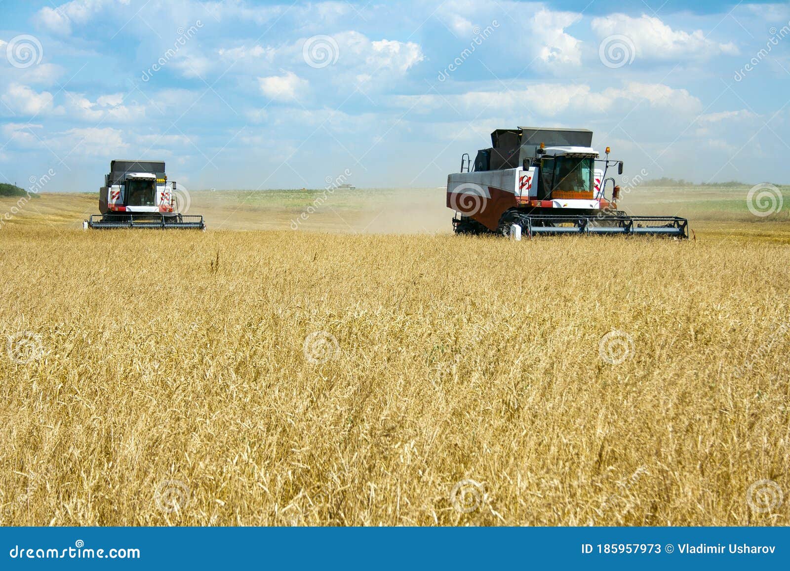 Two Combines in a Field with Grain Crops Stock Image - Image of ...