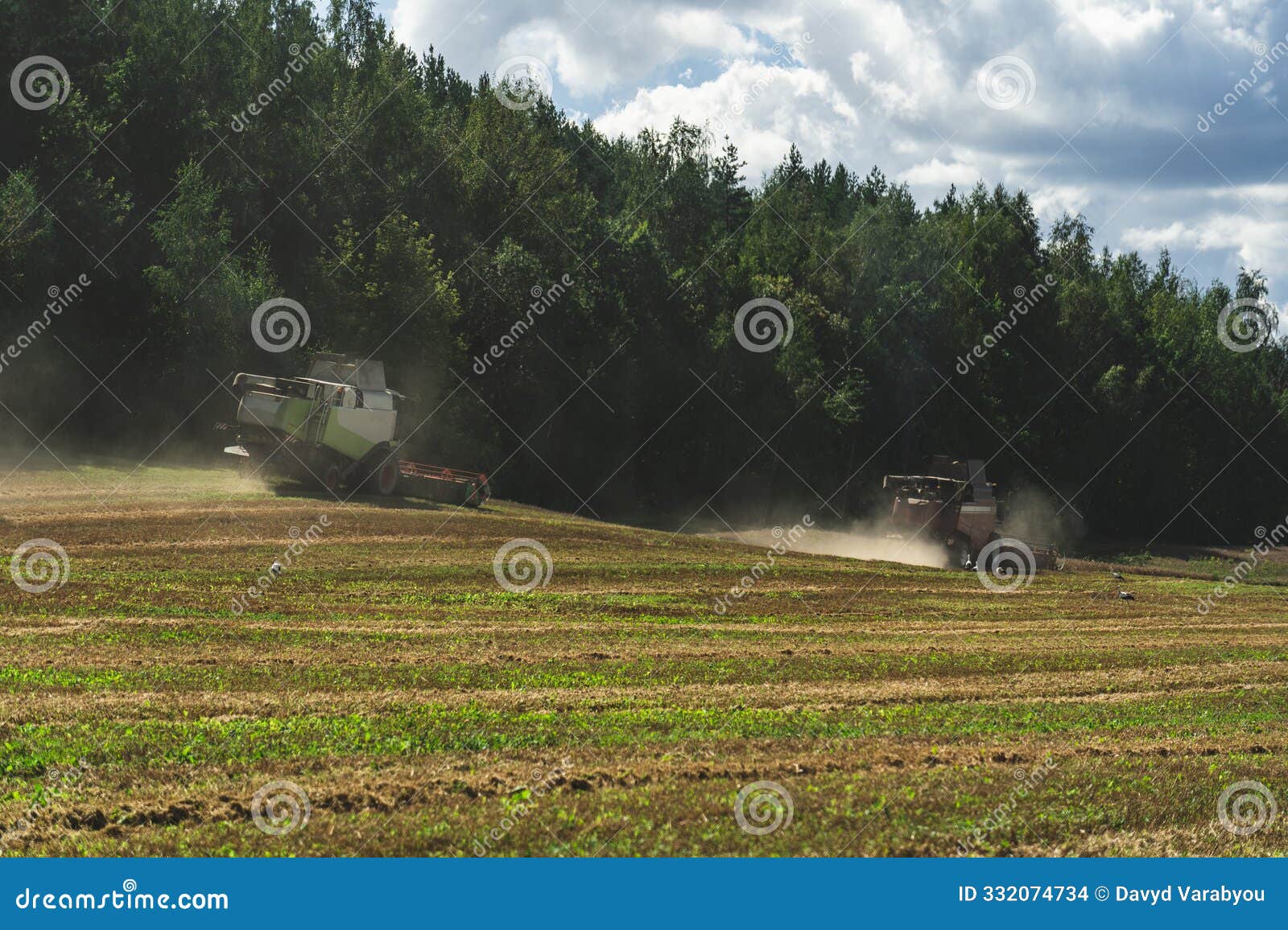 Two Combines are Working in the Field, Harvesting Crops. Combines ...