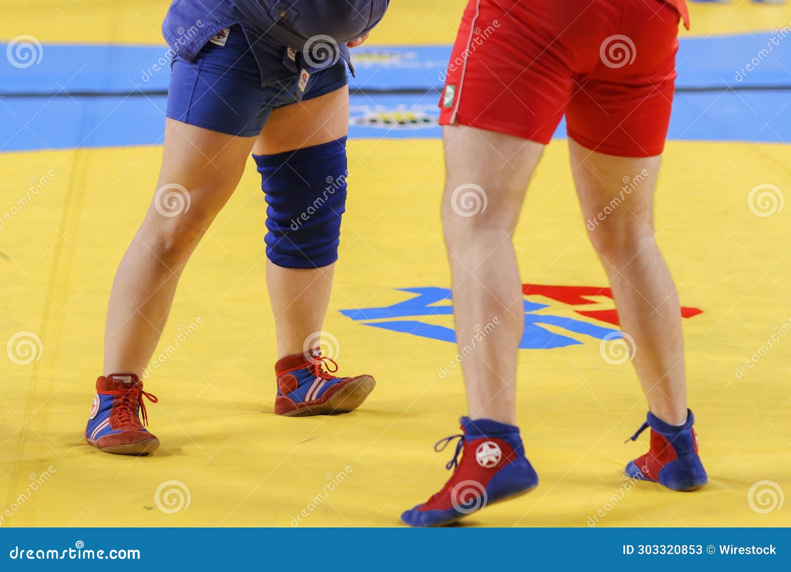 Two Competitors Participating in the Traditional Martial Art of Sambo ...