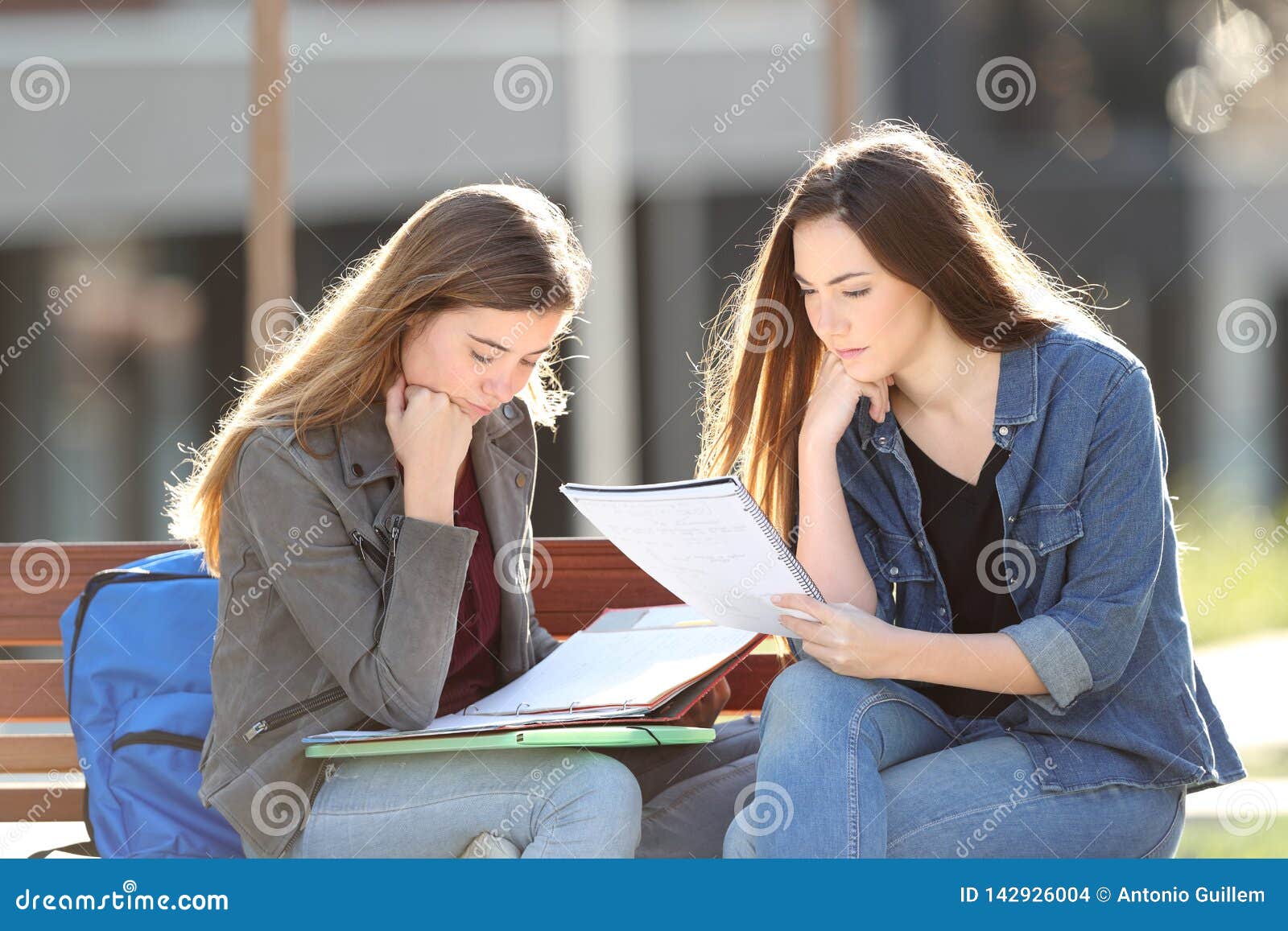Concentrated Students Studying in a Park Stock Photo - Image of books ...