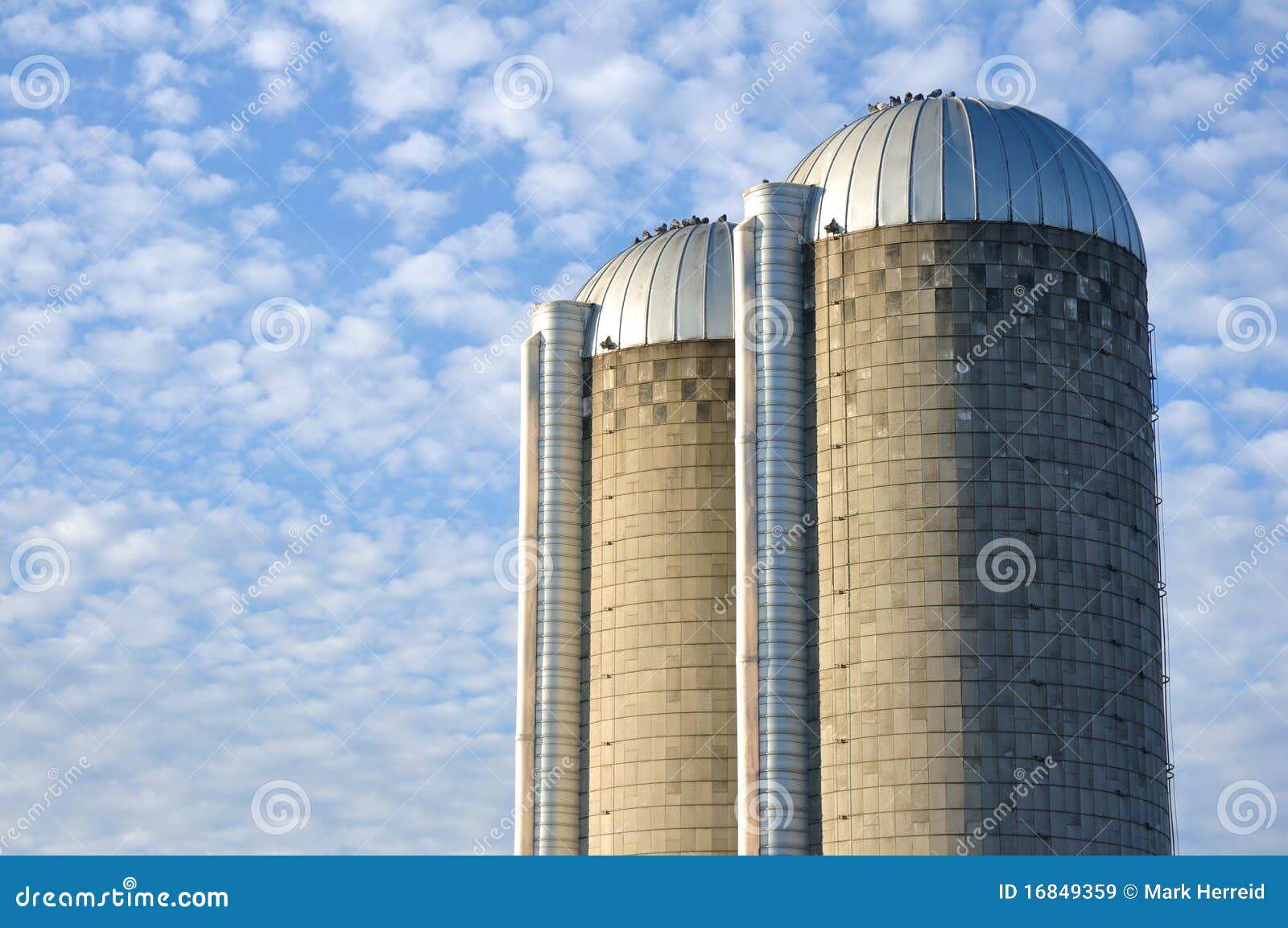 Silo Staves Retaining Wall